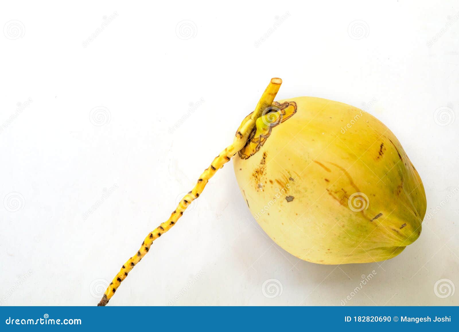 Un Coco Verde Y Tierno De Fondo Blanco Foto de archivo - Imagen de ...
