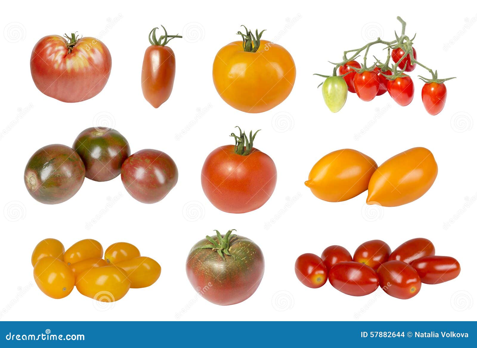 Un Collage De Diversas Variedades De Tomates Foto de archivo - Imagen ...