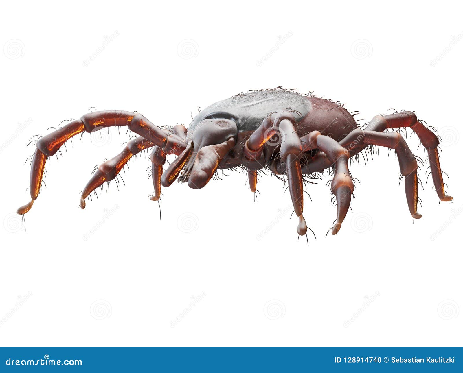 Un coutil illustration stock. Illustration du rendu - 128914740