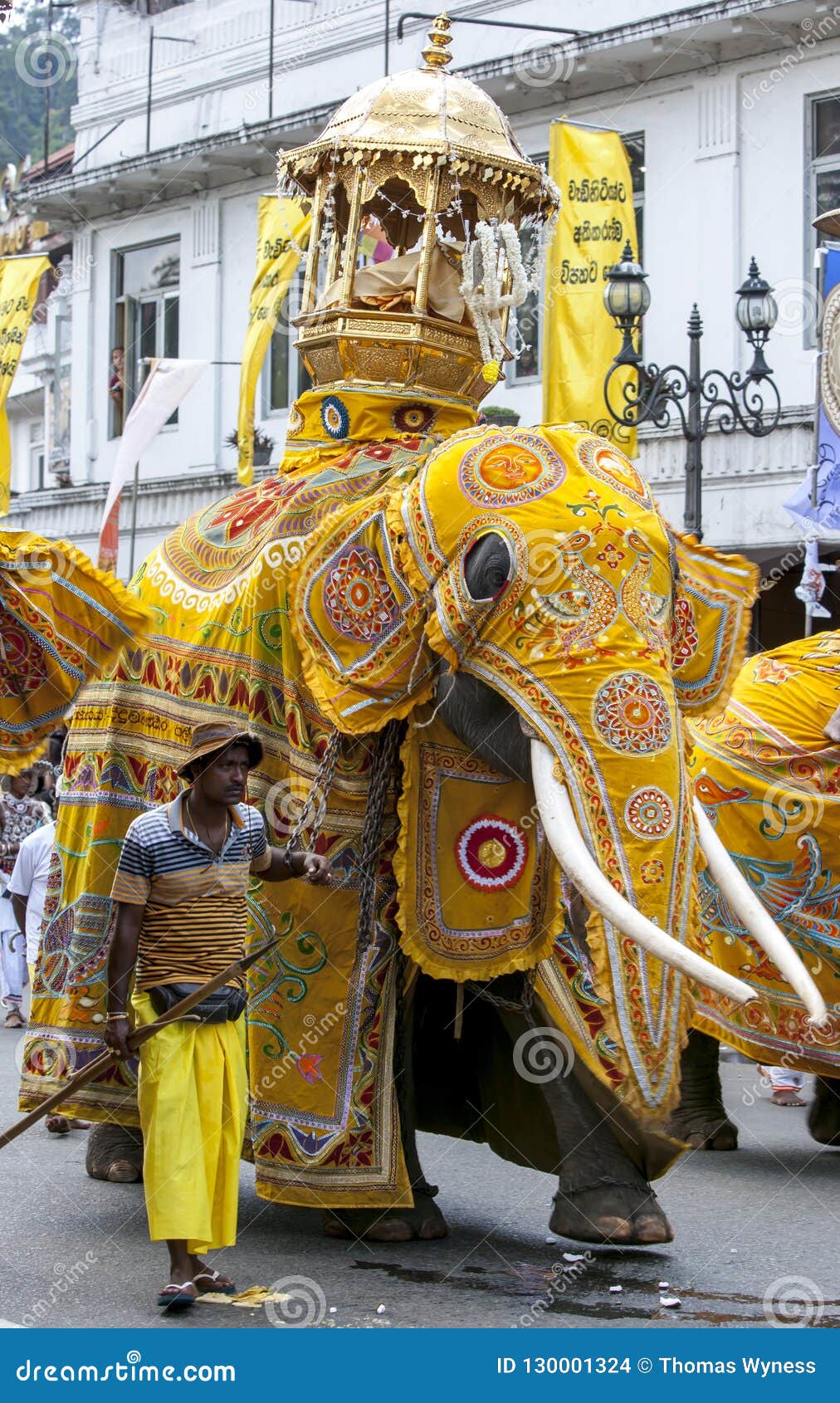 Un Elefante Ceremonial En Kandy En Sri Lanka Imagen de archivo ... Un Elefante Ceremonial En Kandy En Sri Lanka Imagen de archivo ...
