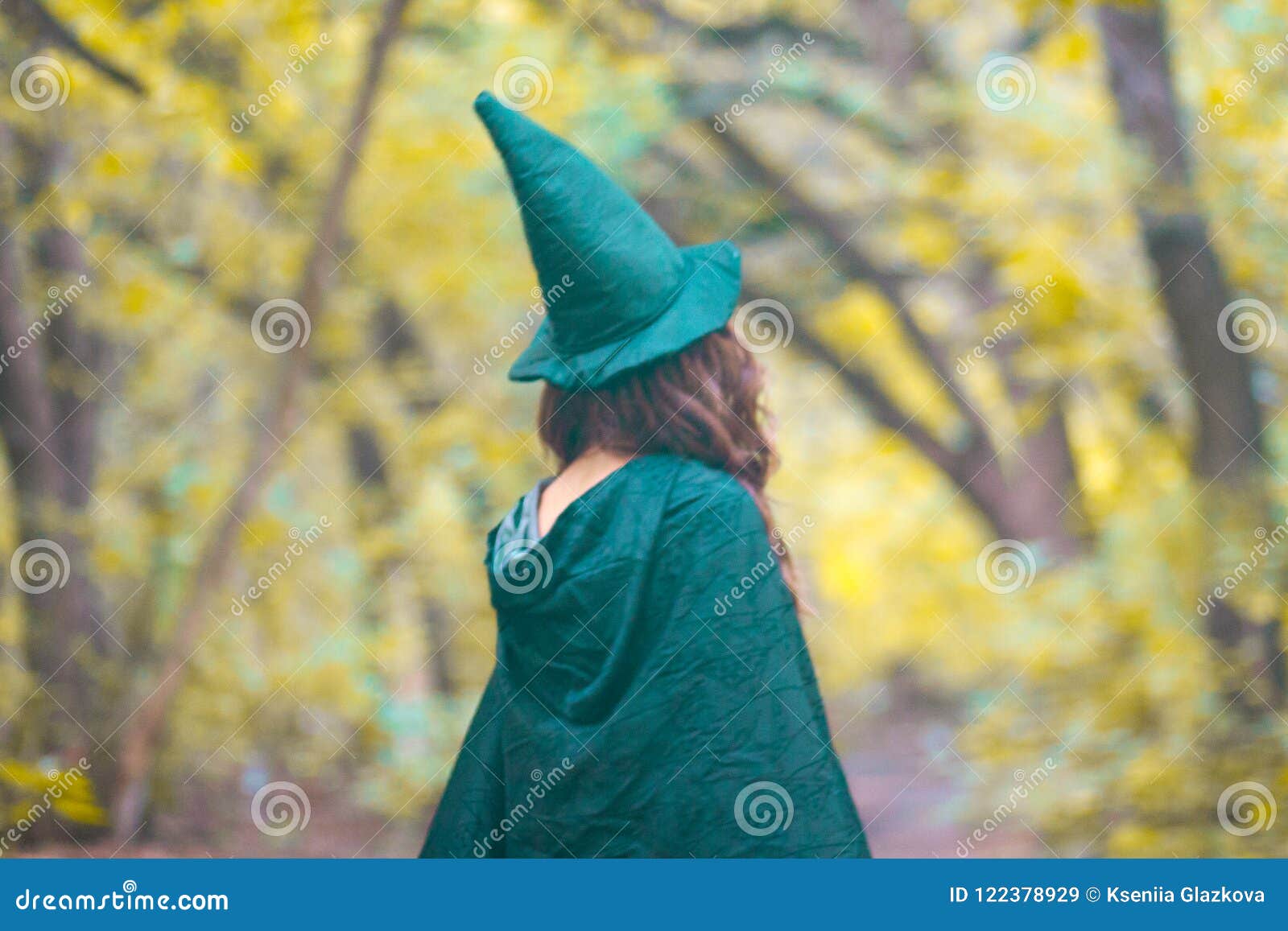 immagini di riserva di Elfo Della Foresta - la sovranità di download ...