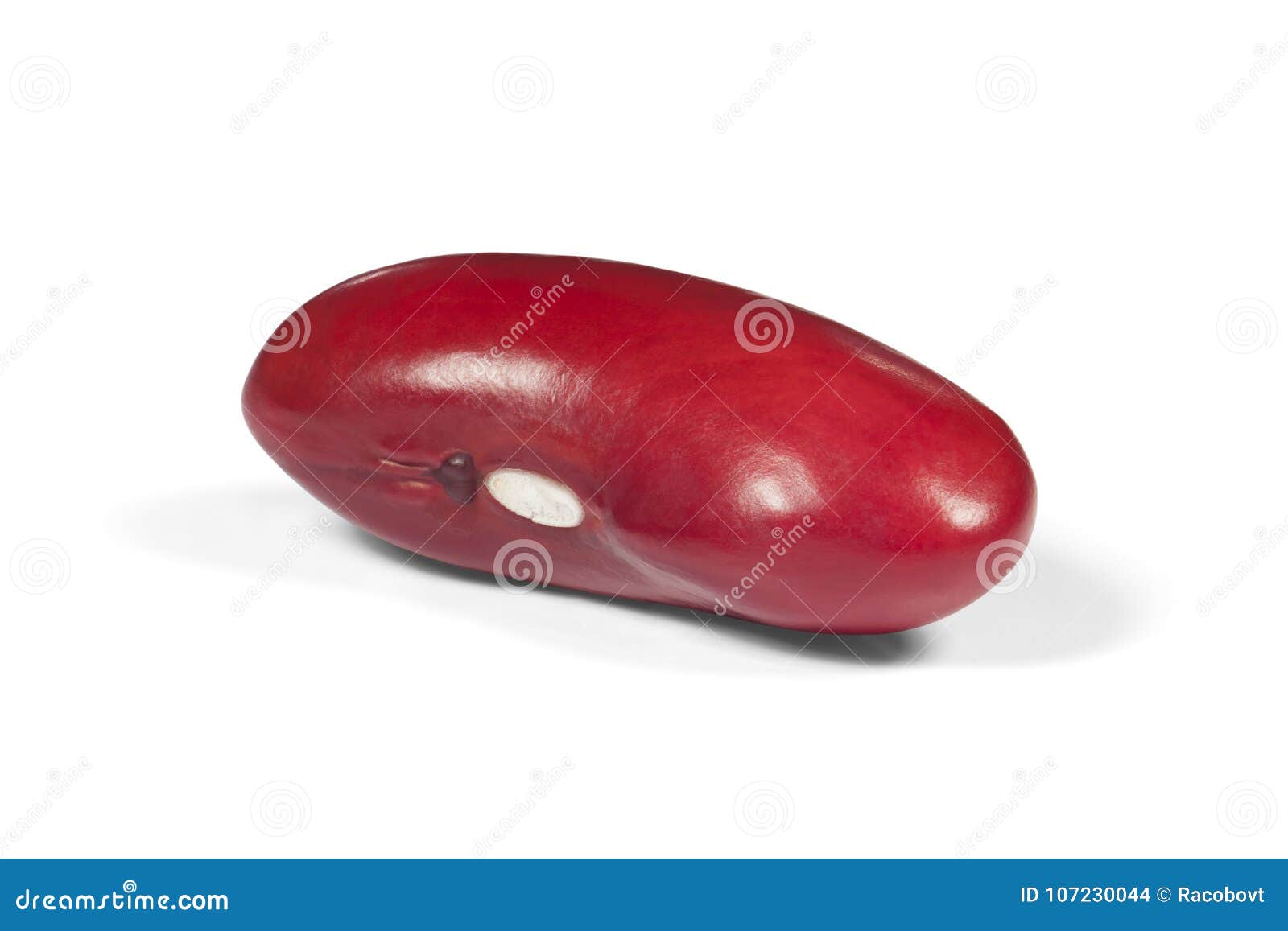 Un Fagiolo Di Un Fagiolo Rosso Fotografia Stock - Immagine di ...