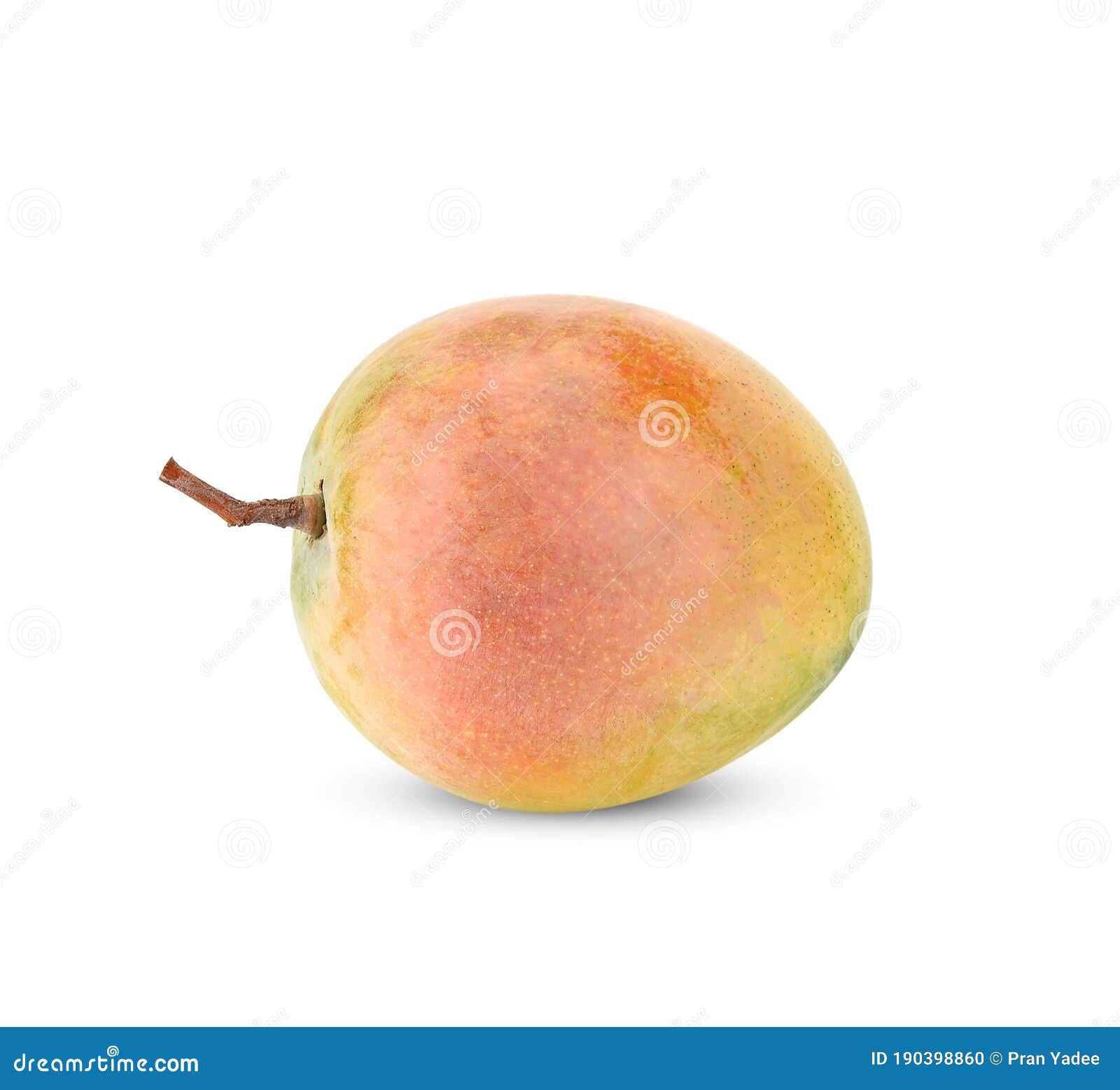 Un Fruto De Mango Aislado En Fondo Blanco Foto de archivo - Imagen de ...
