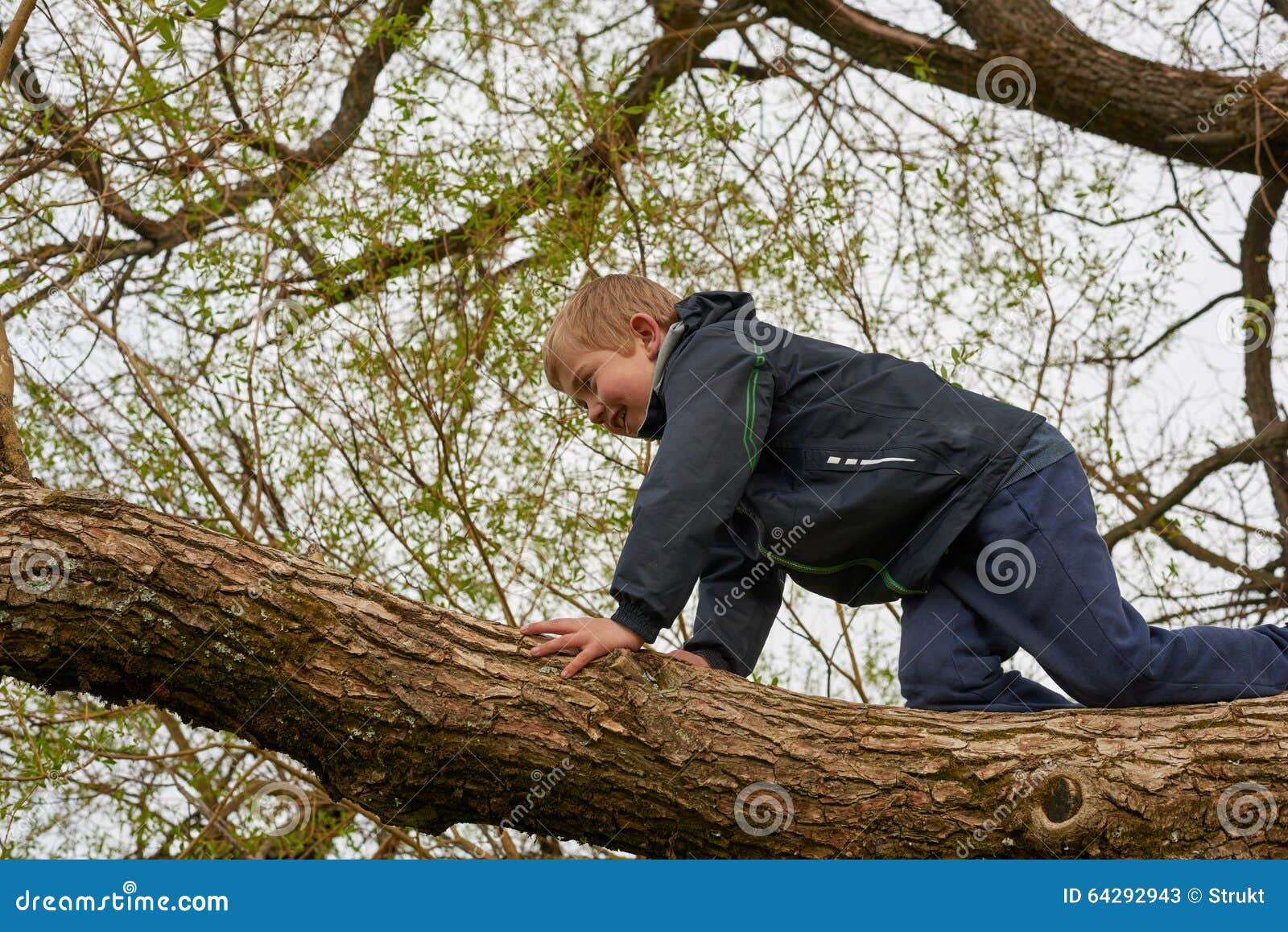 Un garçon grimpe à l'arbre image stock. Image of été - 64292943
