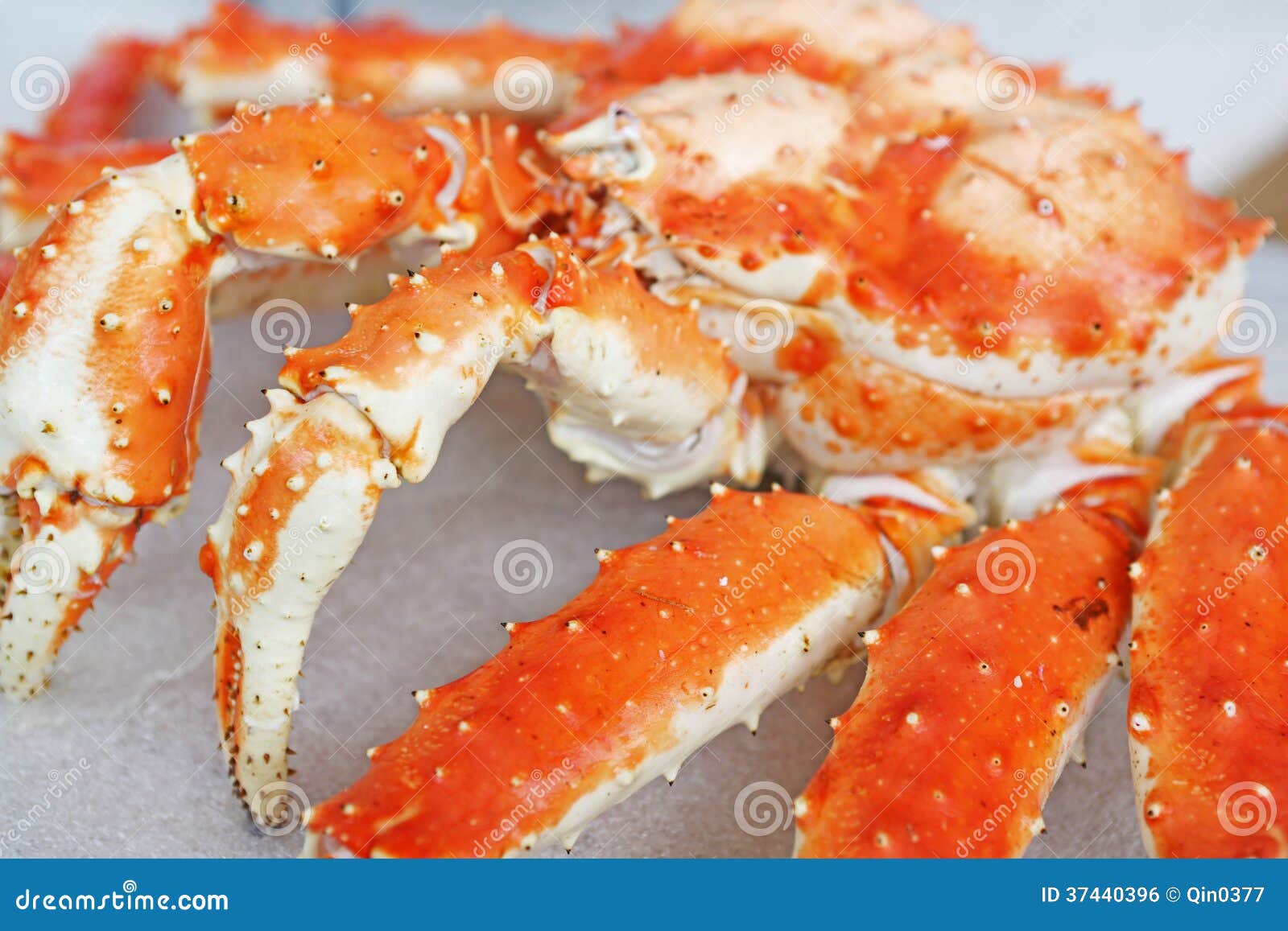 Un granchio reale fotografia stock. Immagine di esportazione - 37440396