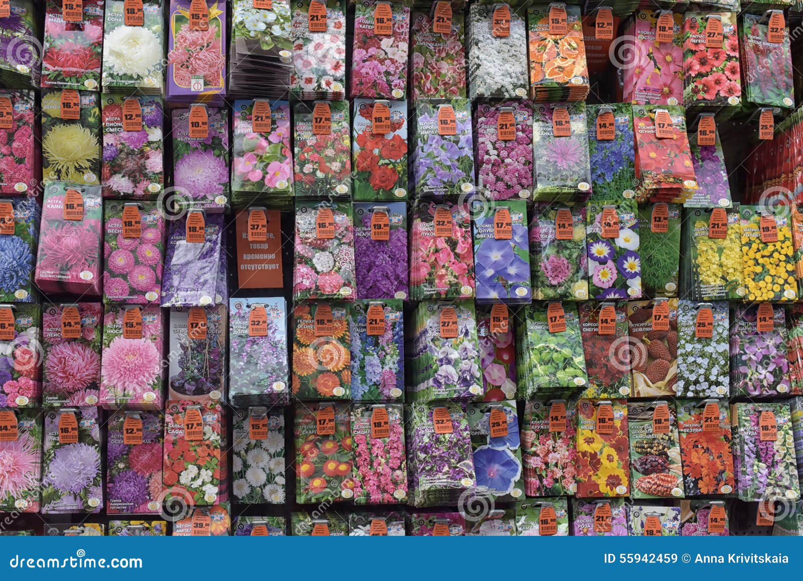 Un Grand Choix De Graines De Fleur Image stock éditorial - Image du ...