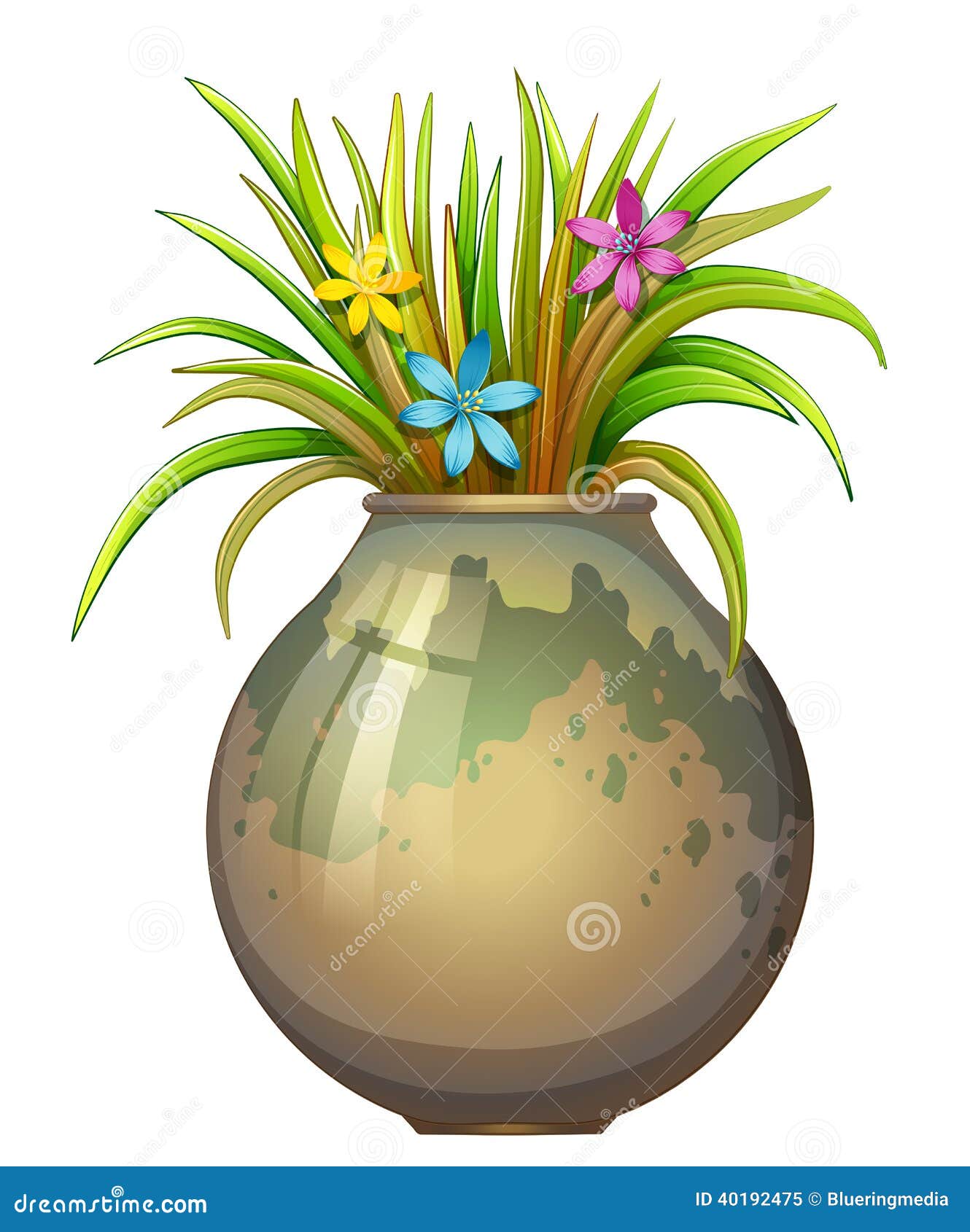 Angiosperme Illustrazioni, Vettoriali E Clipart Stock – (802 ...