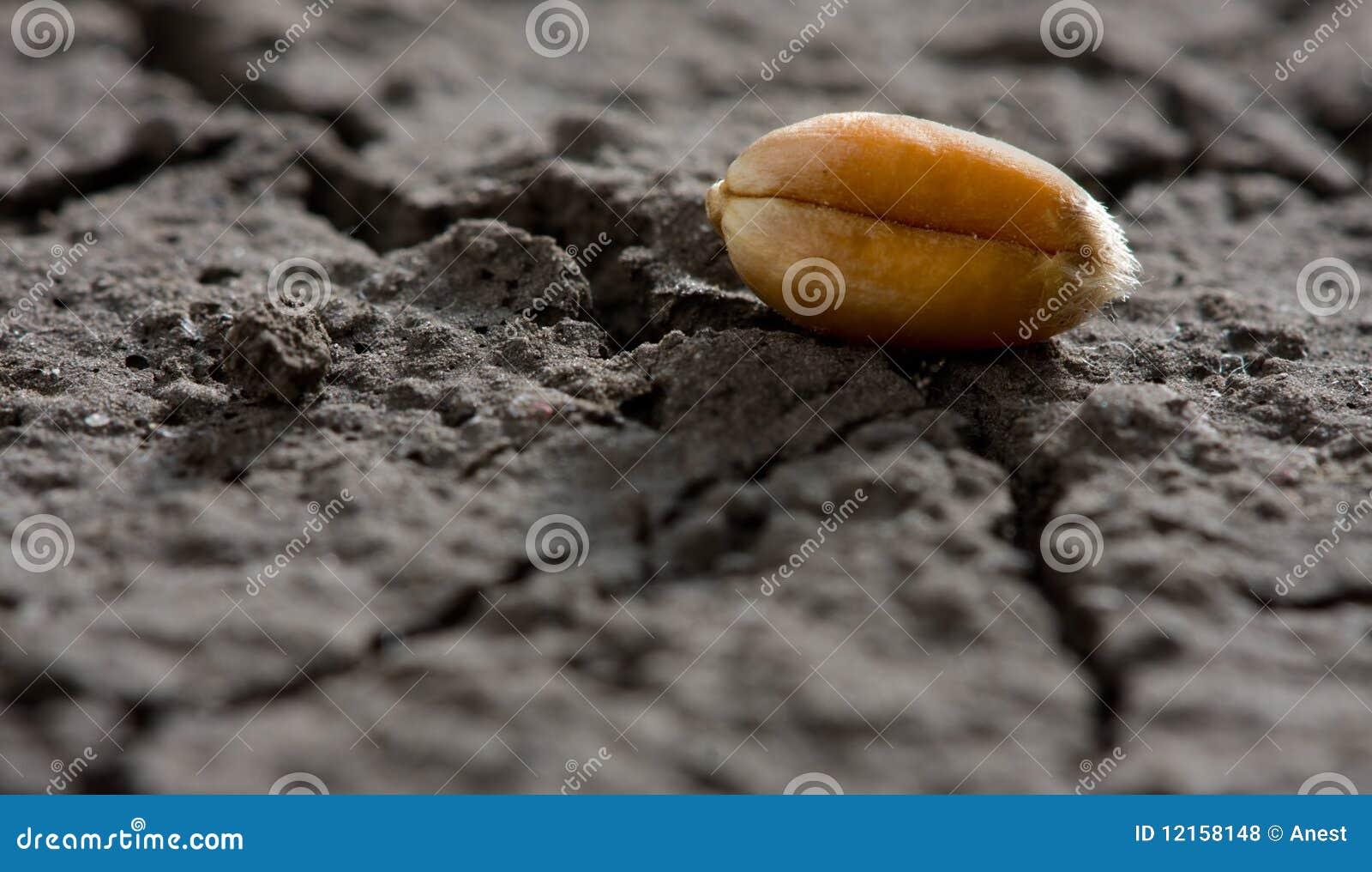Un Granulo Su Sbarco Corroso Fotografia Stock - Immagine di nessuno ...