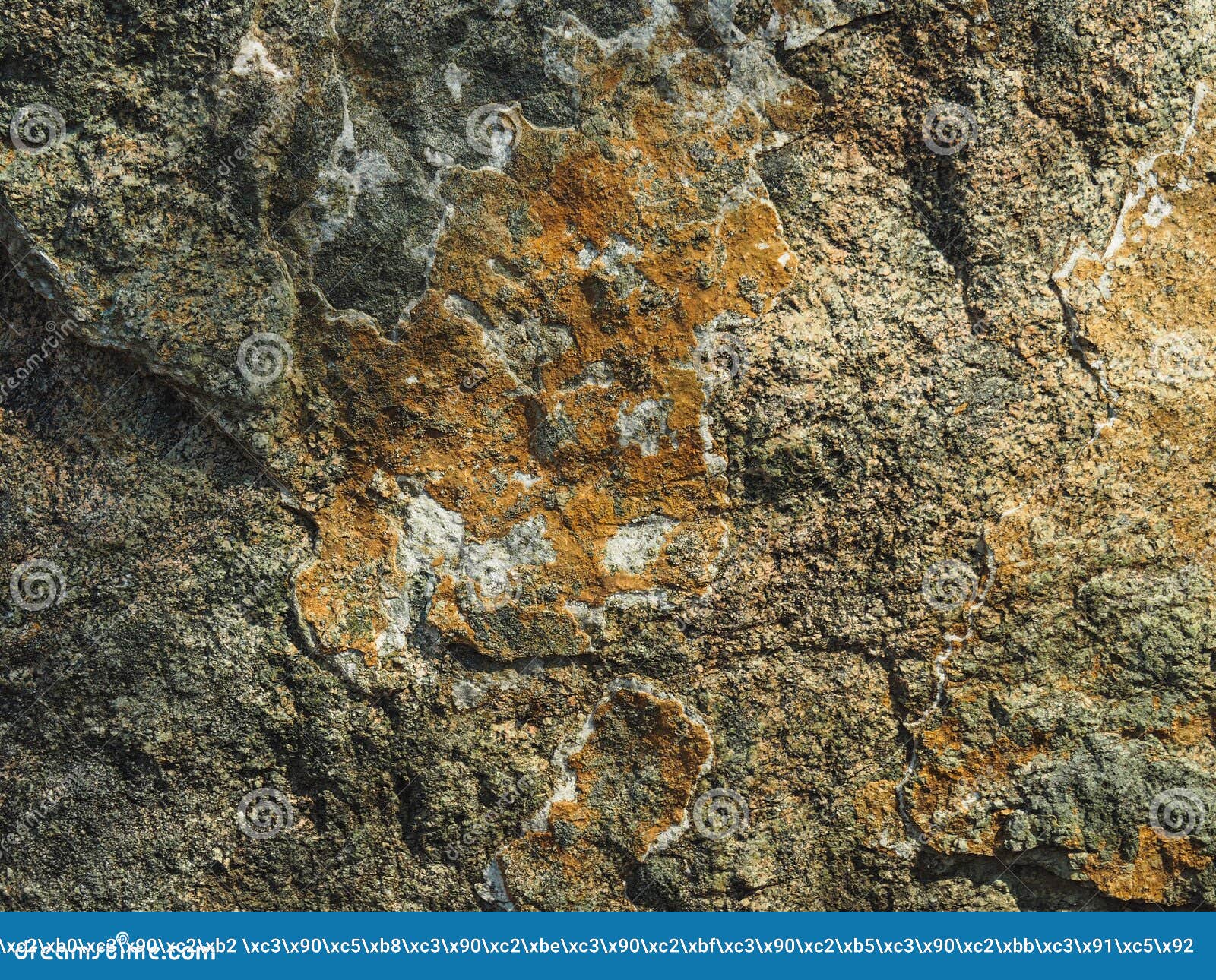 Un Gros Plan De La Texture D'une Grande Pierre Brute De Granit Image ...