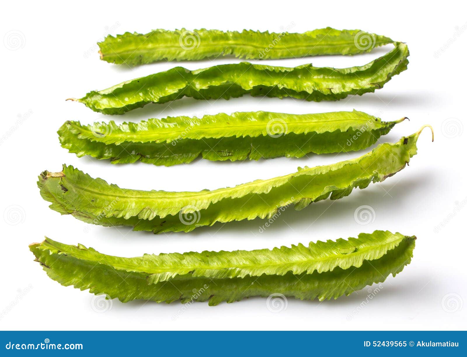 Un Grupo De Bean Vegetable Con Alas IV Imagen de archivo - Imagen de ...