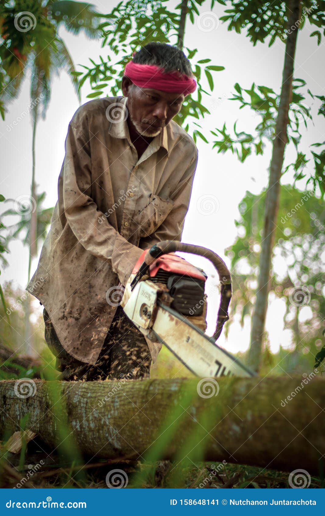 Un Hombre Procesando Madera Foto editorial - Imagen de sierra, madera ...