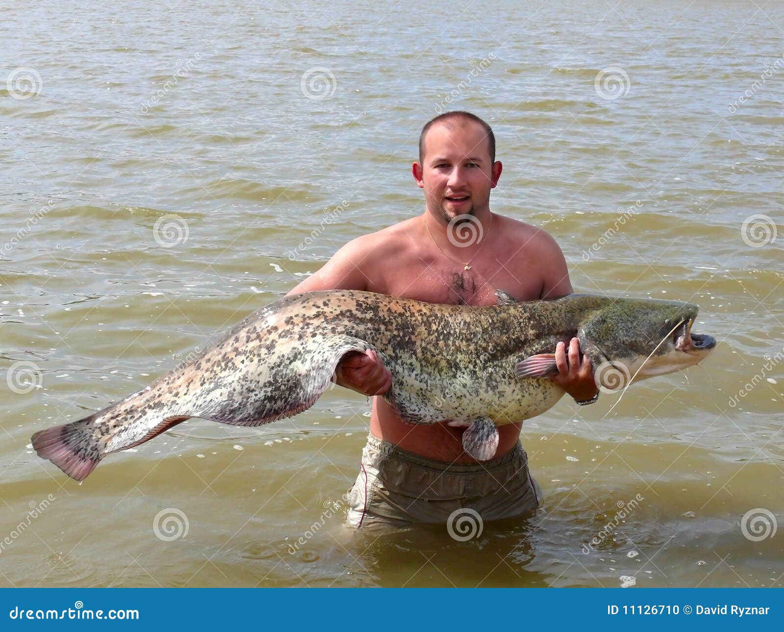 Un Homme Avec Un Poisson-chat Photo stock - Image du sain, loisirs ...