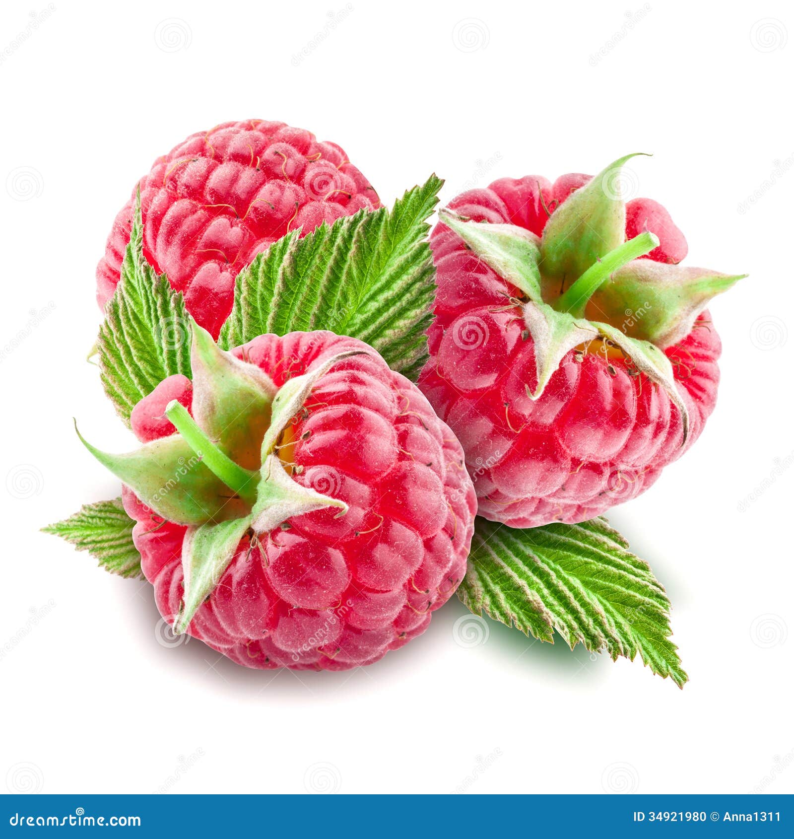 Un Lampone Isolato Su Bianco Fotografia Stock - Immagine di foglio ...