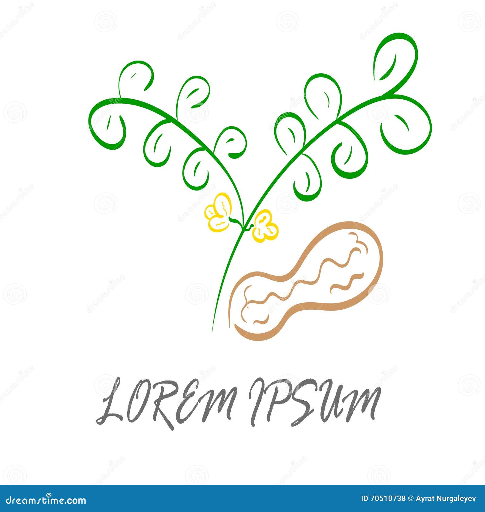 Un logo pour l'arachide illustration de vecteur. Illustration du manger ...