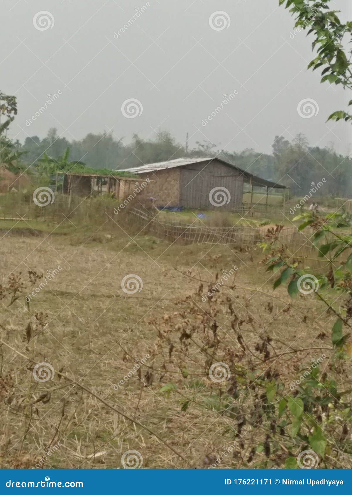 Un lugar rural de assam imagen de archivo. Imagen de rural - 176221171