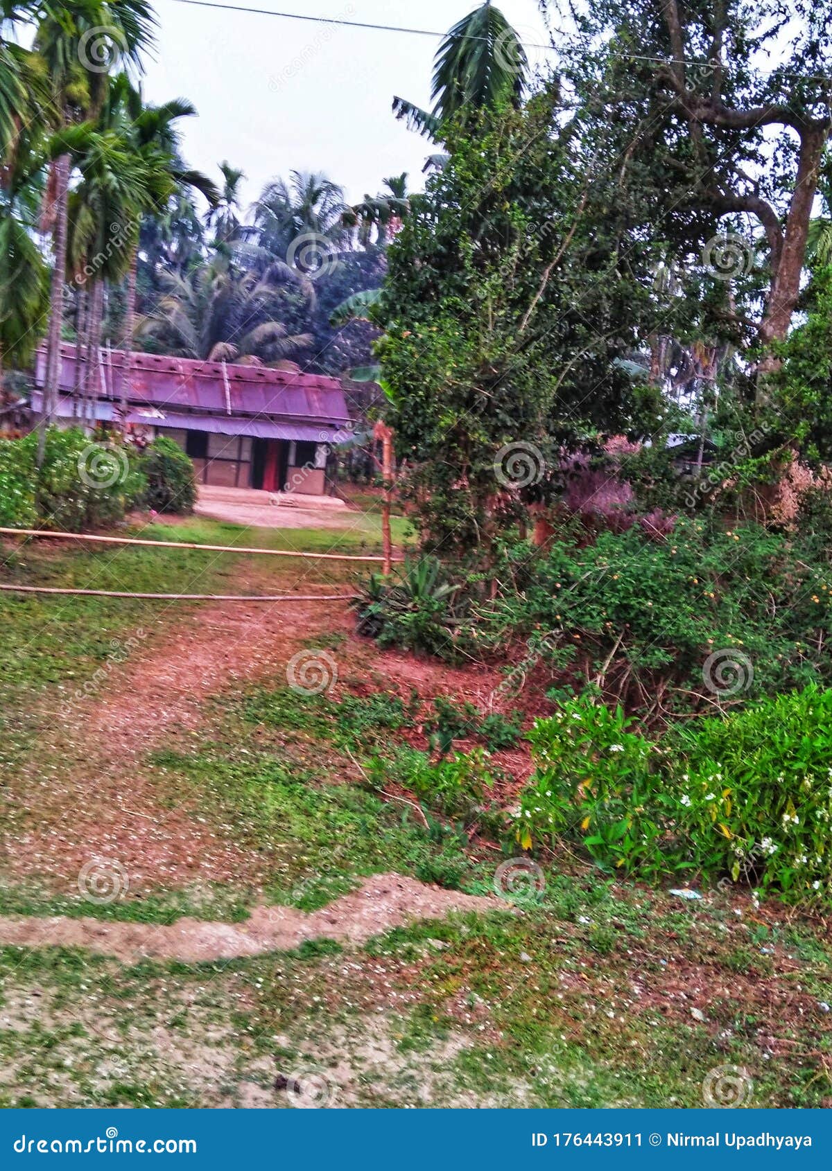 Un Lugar Rural De Assam India Imagen de archivo - Imagen de aldea ...