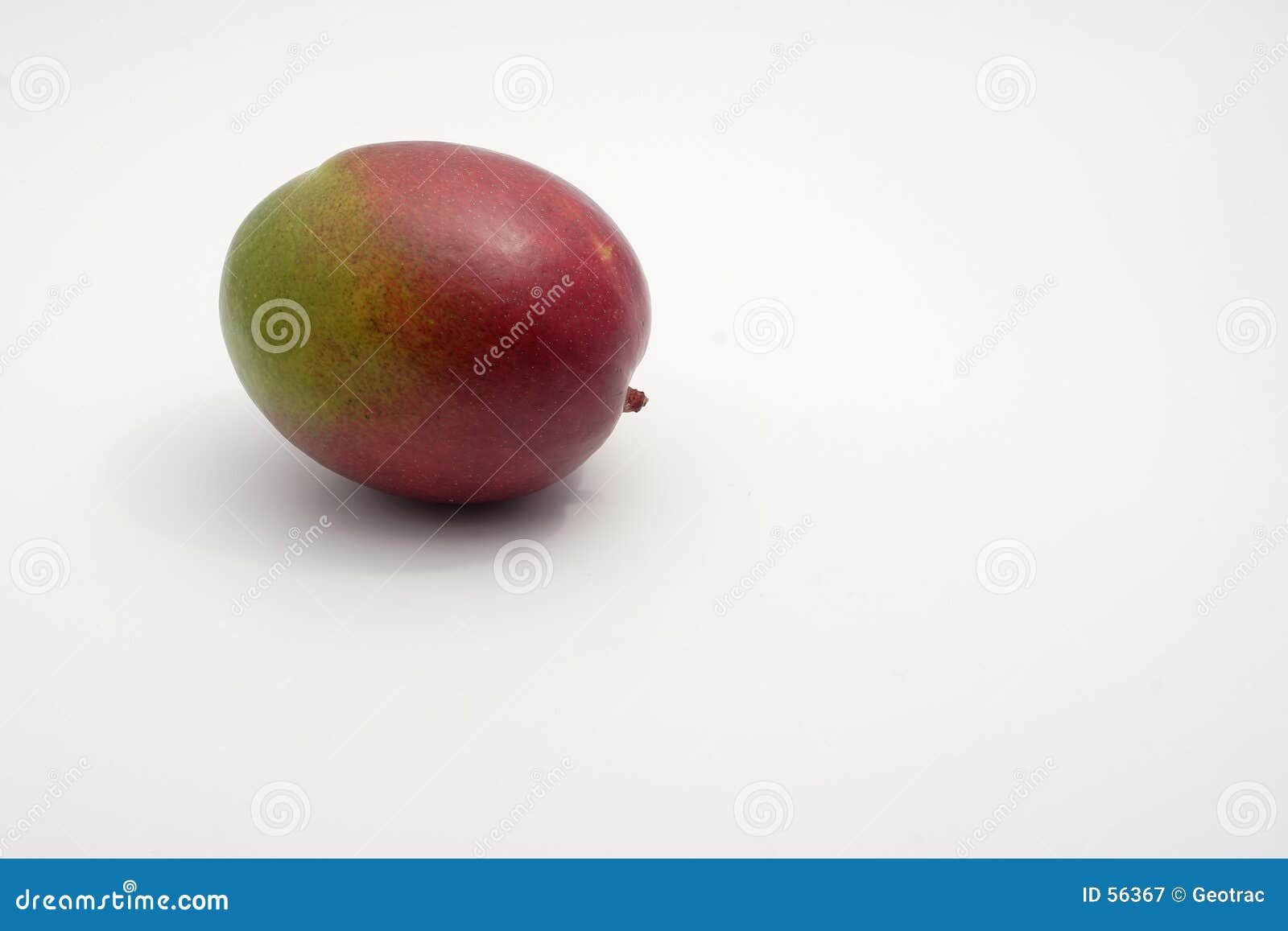 Un mango solo imagen de archivo. Imagen de alimento, verde - 56367