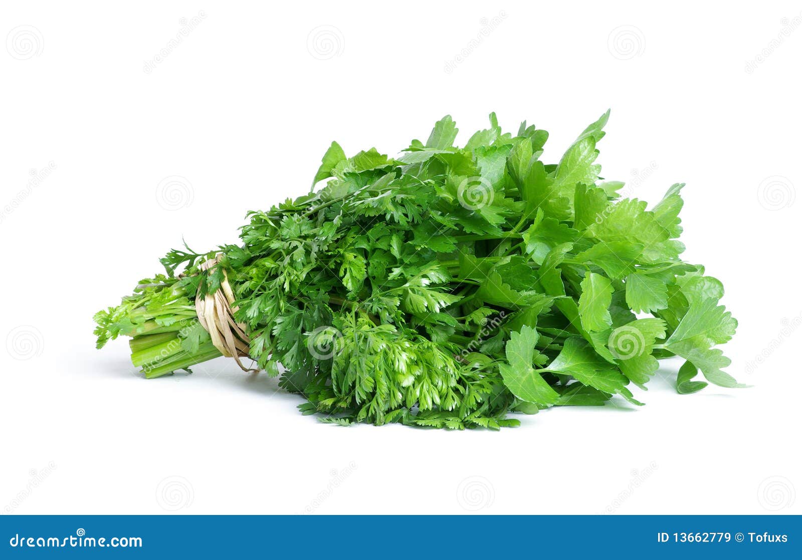 Un manojo de apio imagen de archivo. Imagen de alimento - 13662779