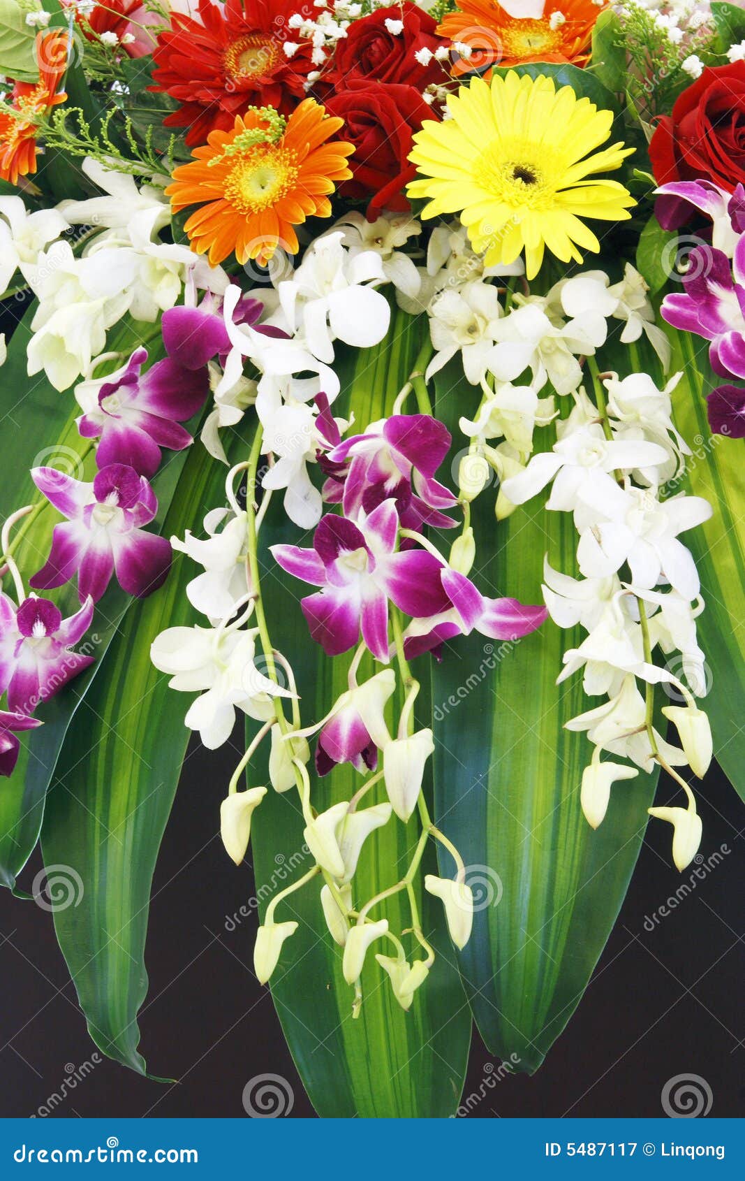 Un manojo de flores. imagen de archivo. Imagen de chino - 5487117