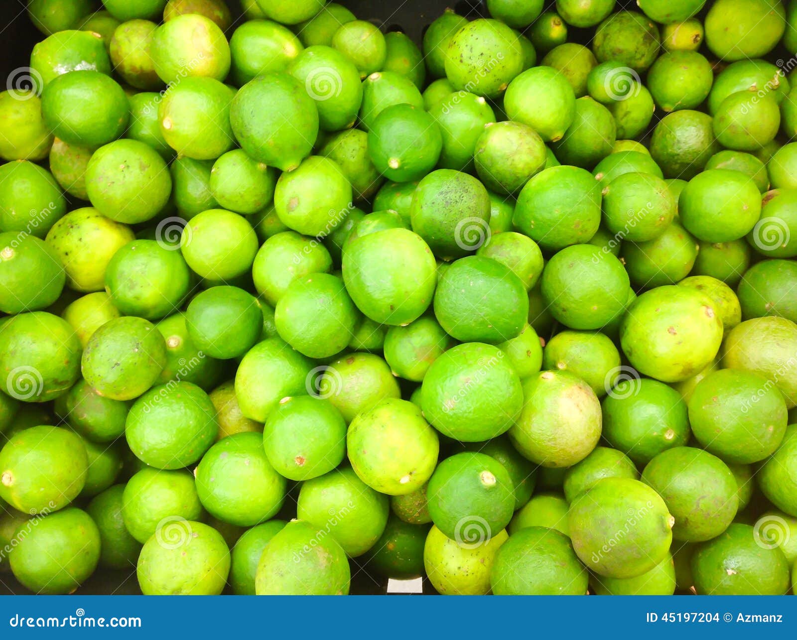 Un manojo de lima agria foto de archivo. Imagen de planta - 45197204