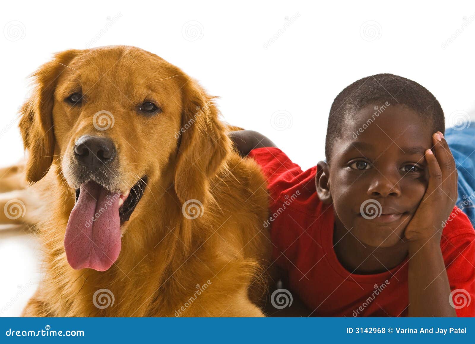 Un muchacho y su perro. foto de archivo. Imagen de recuperador - 3142968