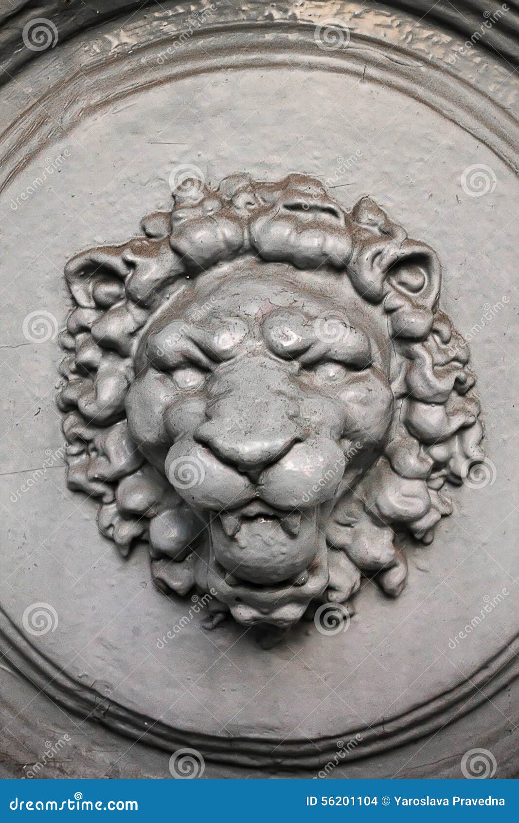 Un museau d'un lion photo stock. Image du débris, allégement - 56201104