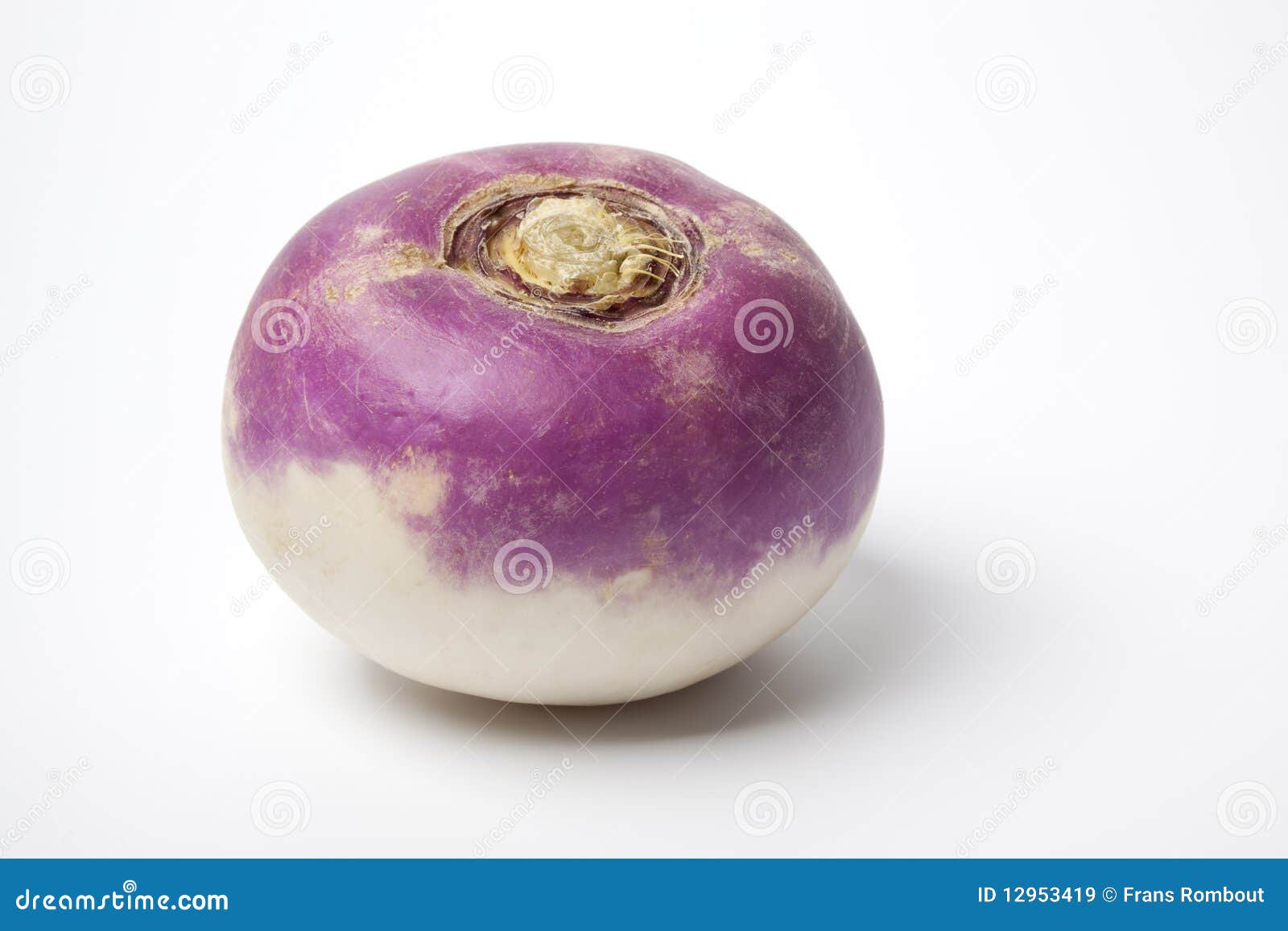 Un Navet Dirigé Pourpré Entier Image stock - Image du navet, horizontal ...