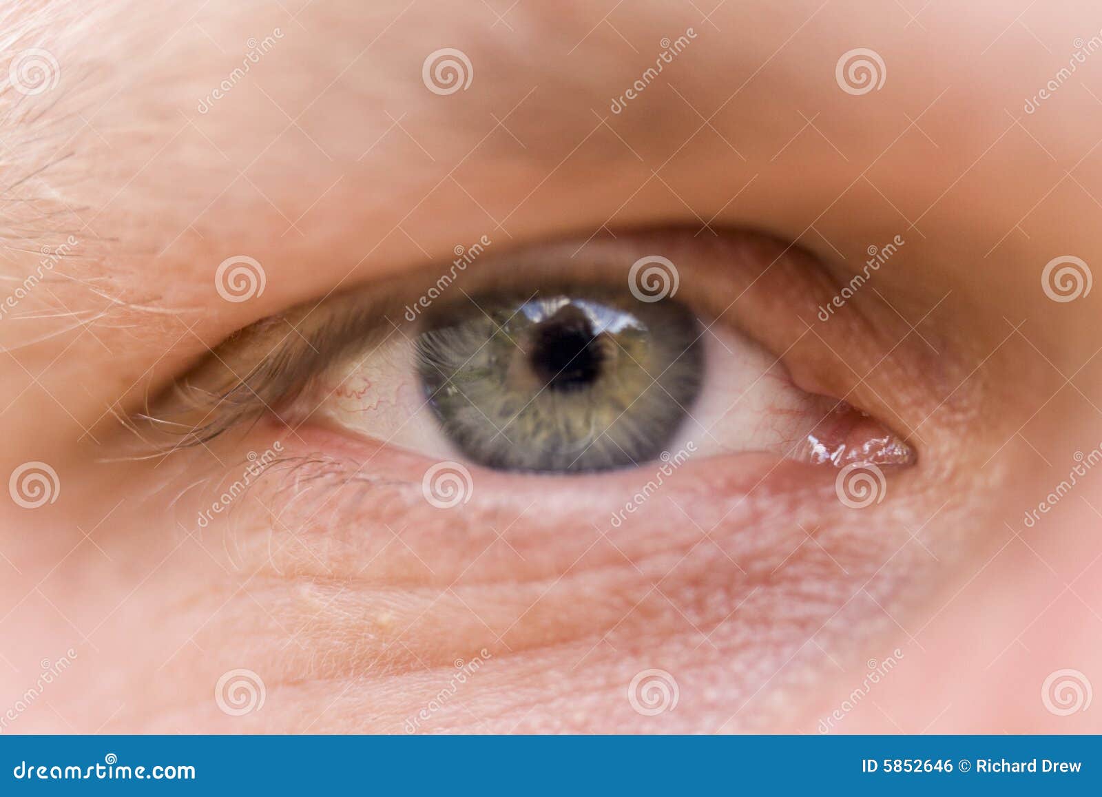 Un occhio-pieno fotografia stock. Immagine di eyeball - 5852646