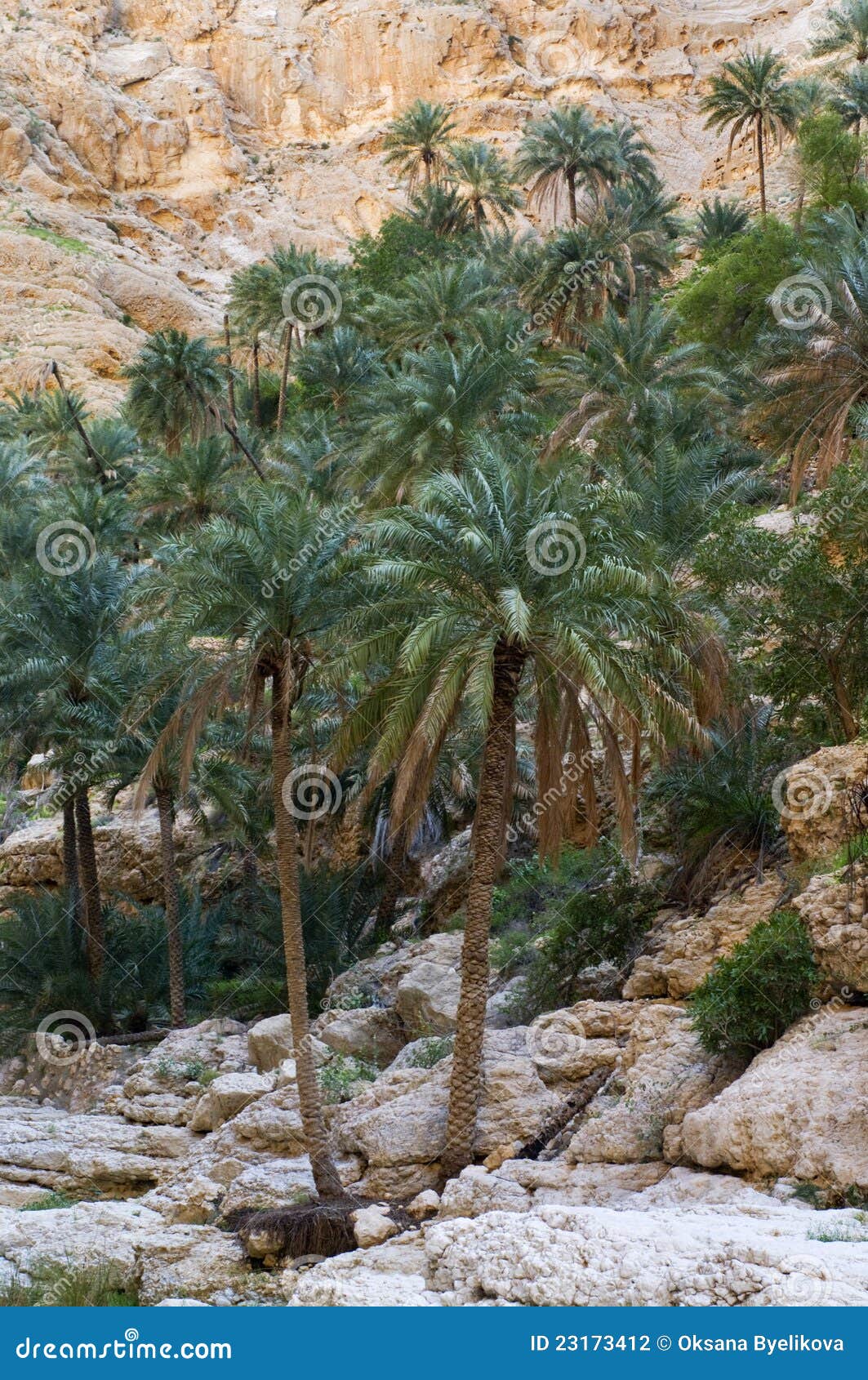 Un oued normal en Oman photo stock. Image du musulmans - 23173412