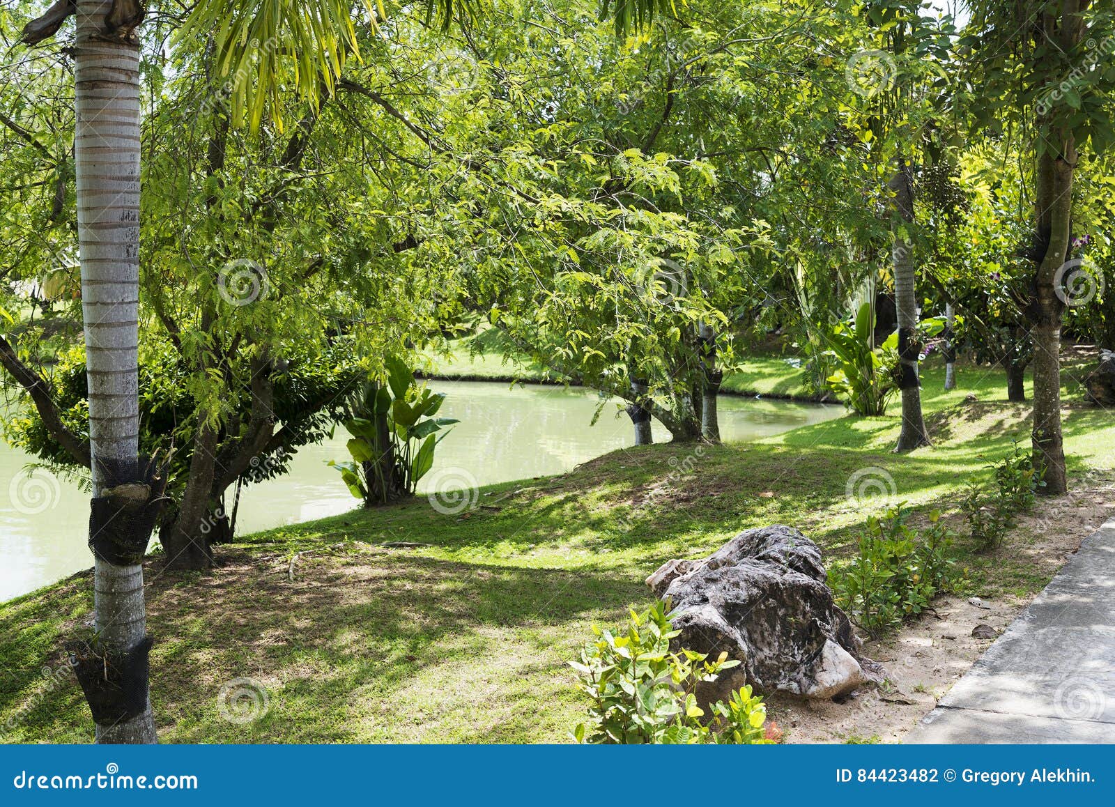 Un parque con un lago foto de archivo. Imagen de verano - 84423482