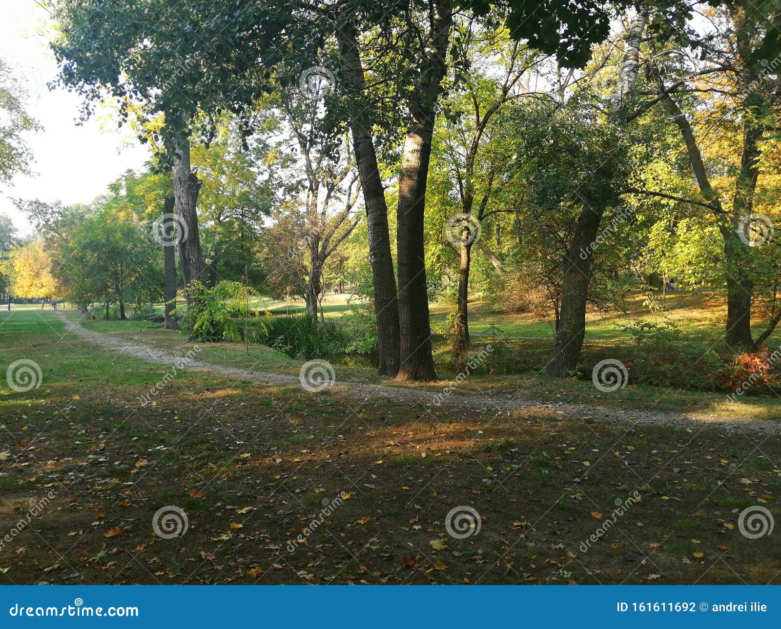 Un Paseo Por El Parque Parte 1 Foto de archivo - Imagen de caminata ...