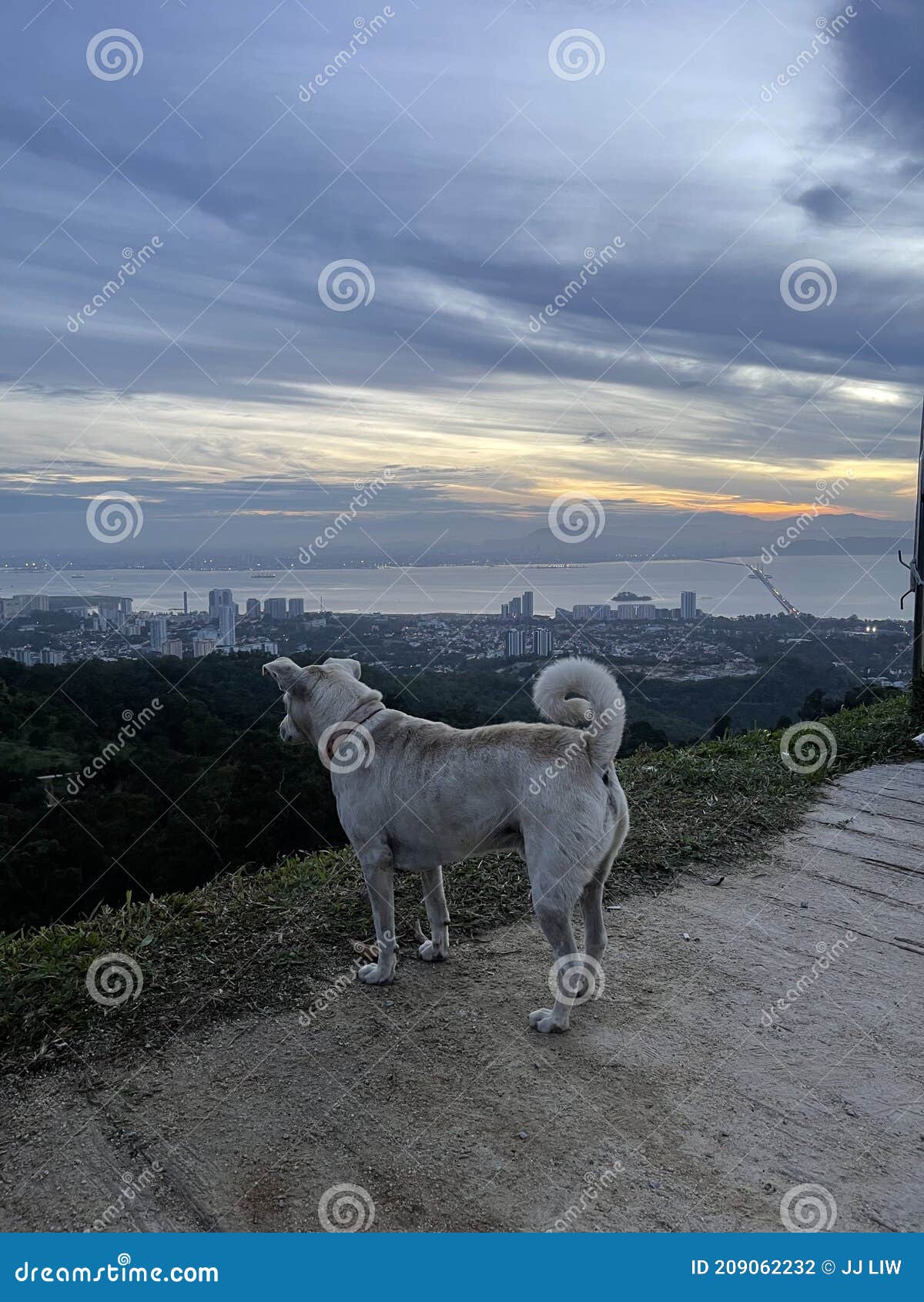 Un Perro Escalando En Botak Hill Penang Foto de archivo - Imagen de ...