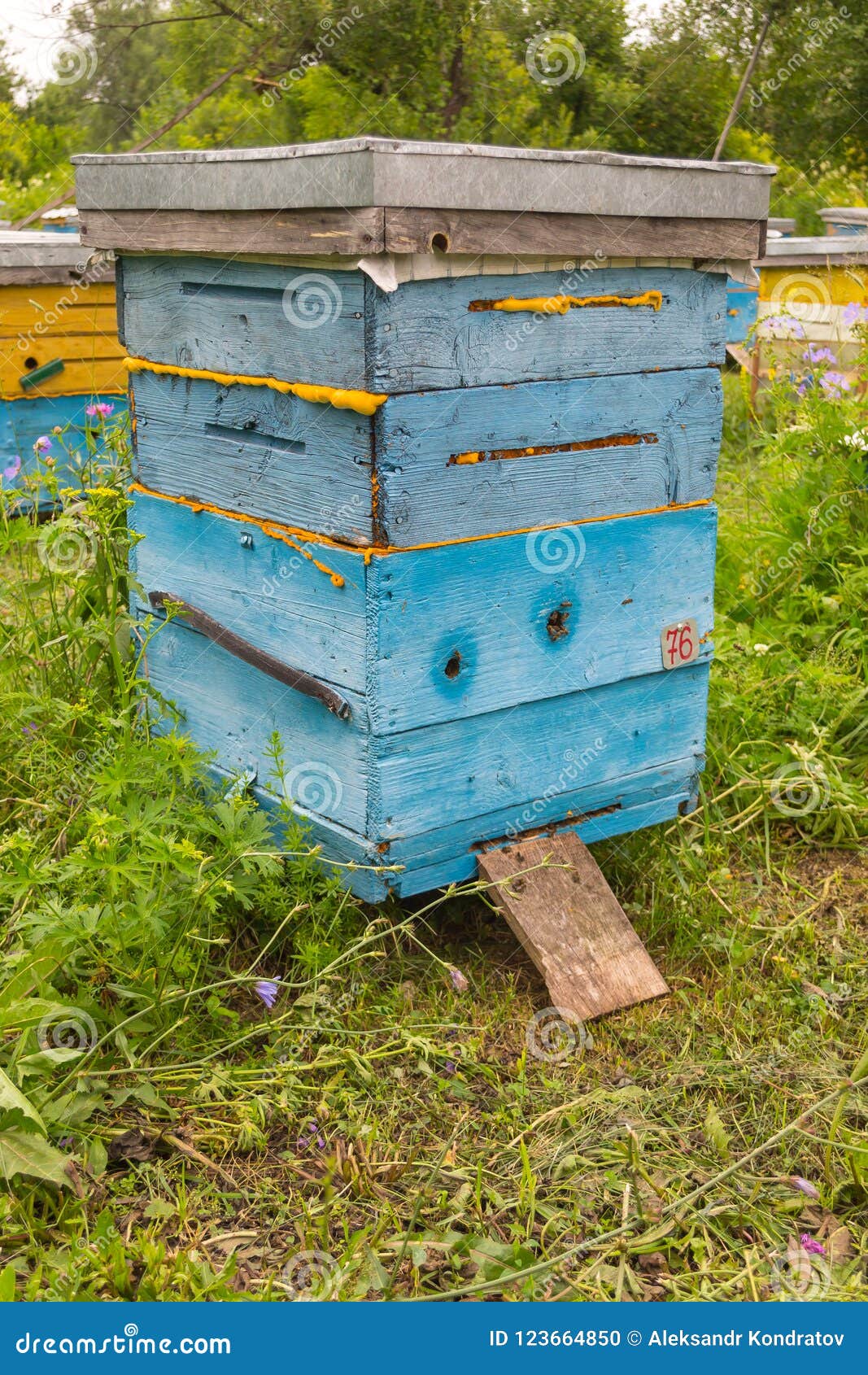 Un Plan Vertical De Una Colmena Foto de archivo - Imagen de hierba ...