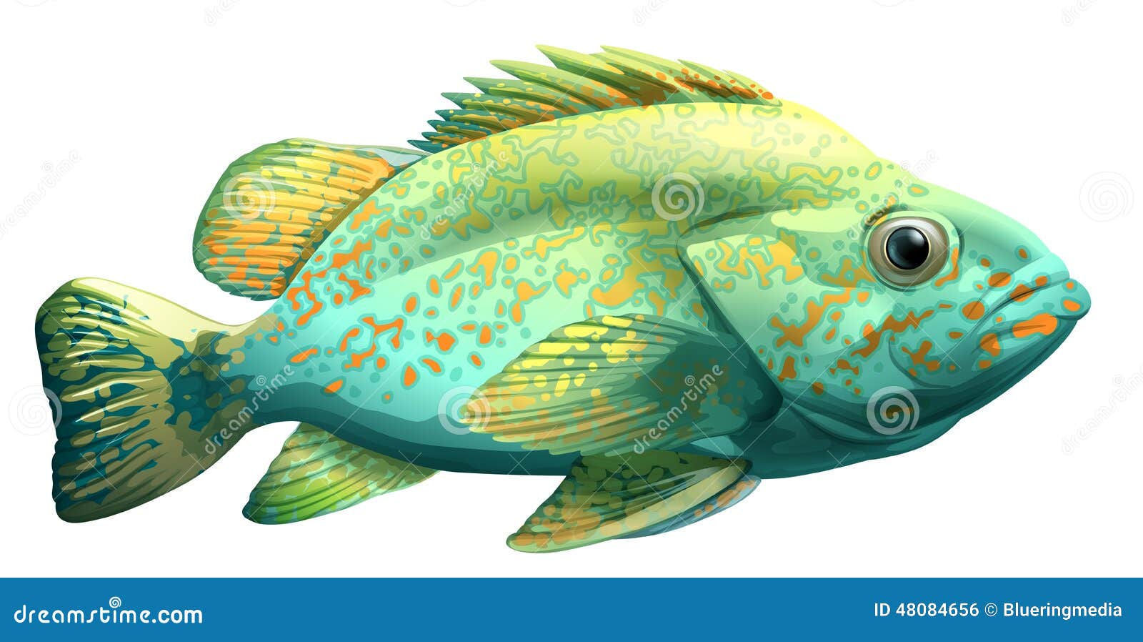Un poisson illustration de vecteur. Illustration du océan - 48084656
