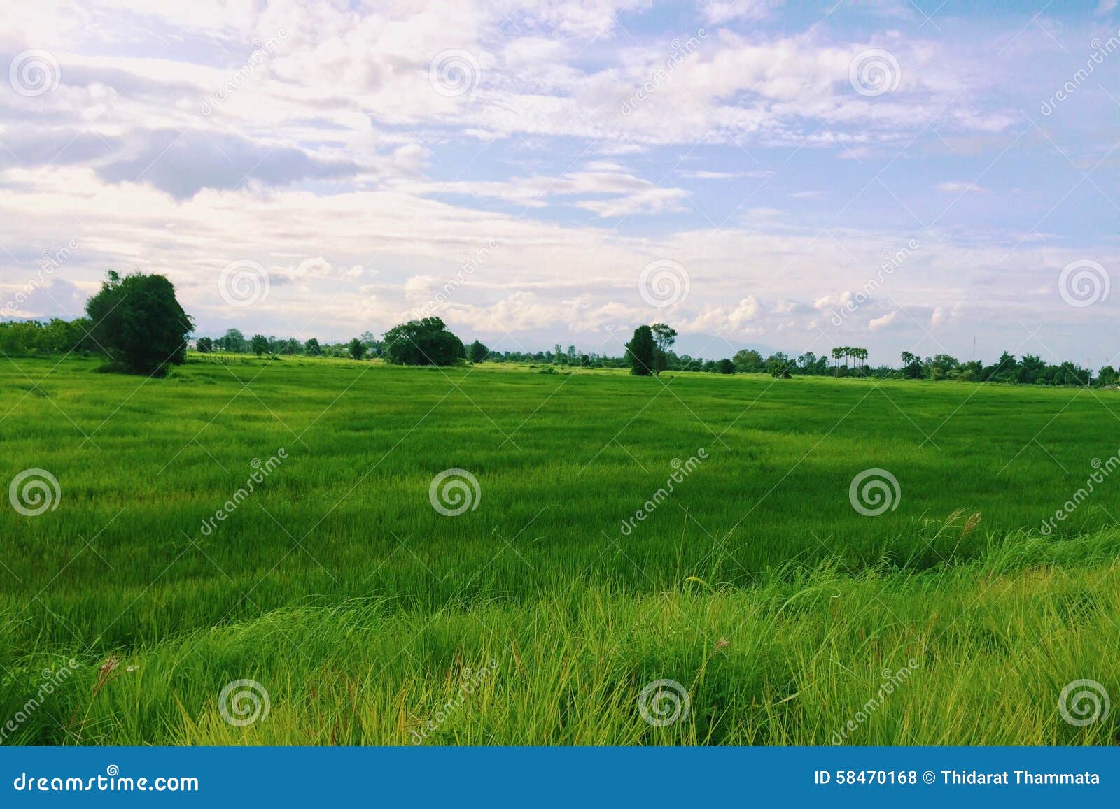Un prado foto de archivo. Imagen de sunset, paisaje, cielo - 58470168