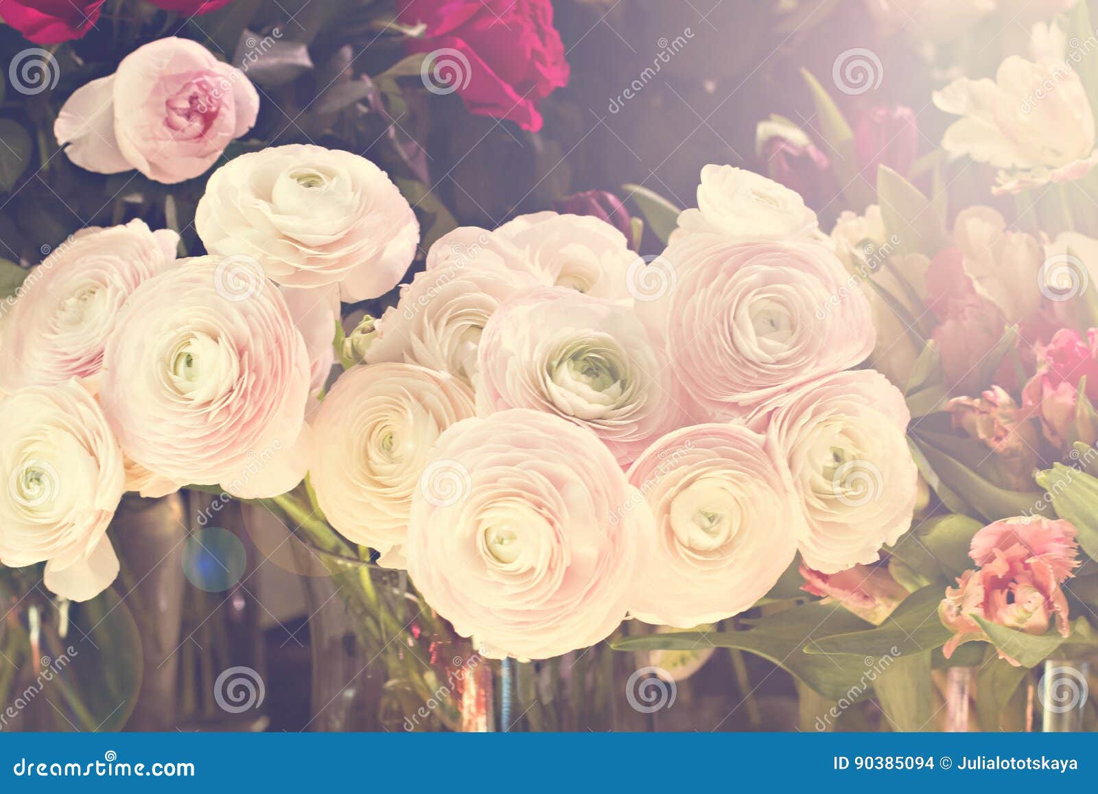 Un ramo de flores hermosas foto de archivo. Imagen de oscuro - 90385094