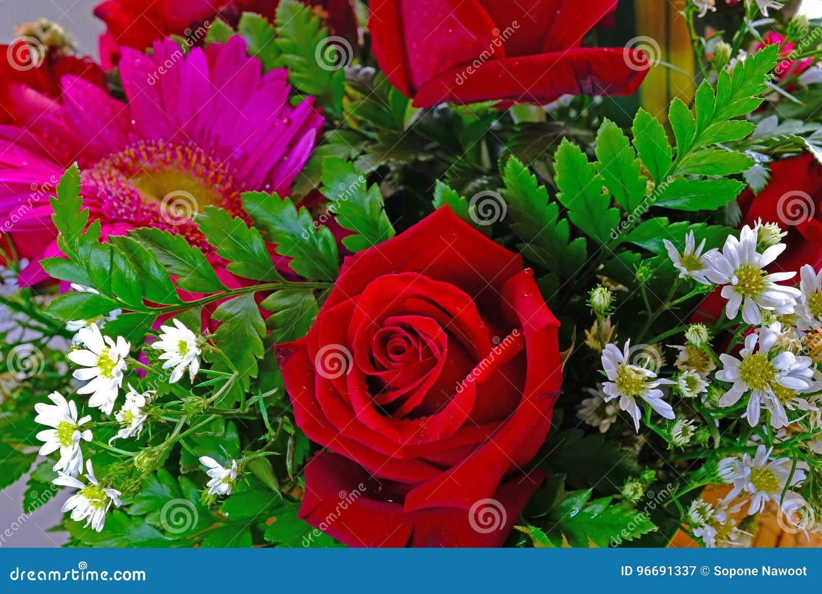 Un ramo de flores hermosas imagen de archivo. Imagen de flor - 96691337