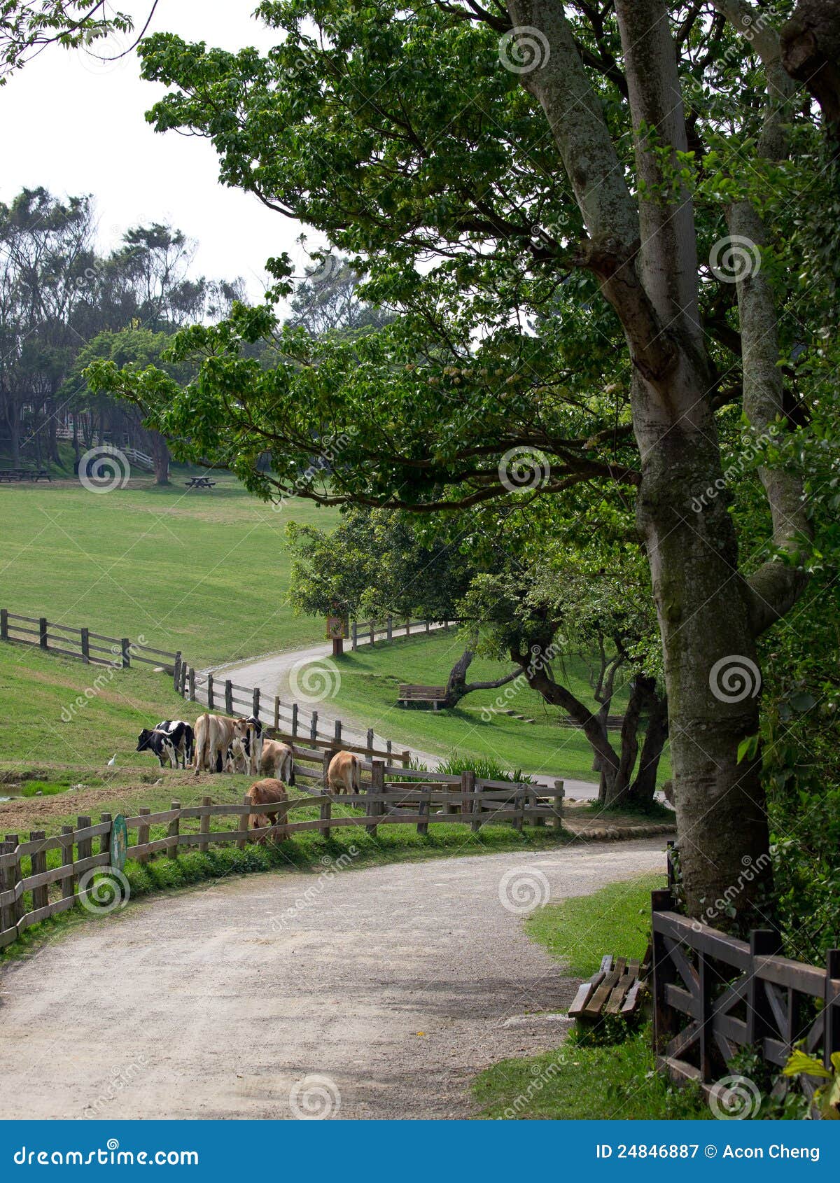Un rancho hermoso imagen de archivo. Imagen de pasto - 24846887