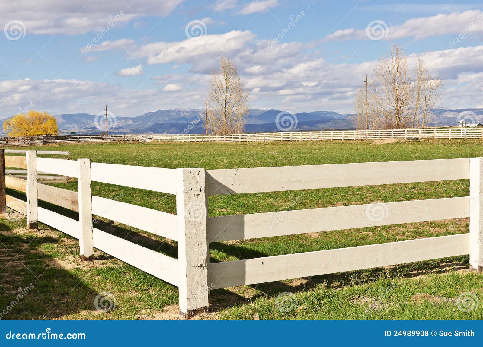 Un rancho, muchas cercas foto de archivo. Imagen de pintado - 24989908