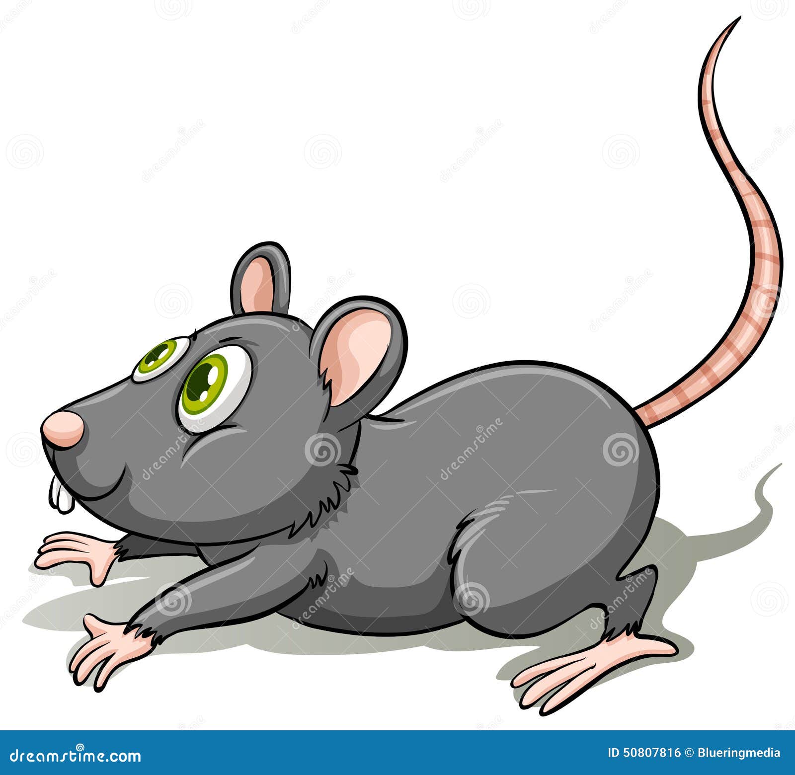 Un rat gris illustration de vecteur. Illustration du fond - 50807816