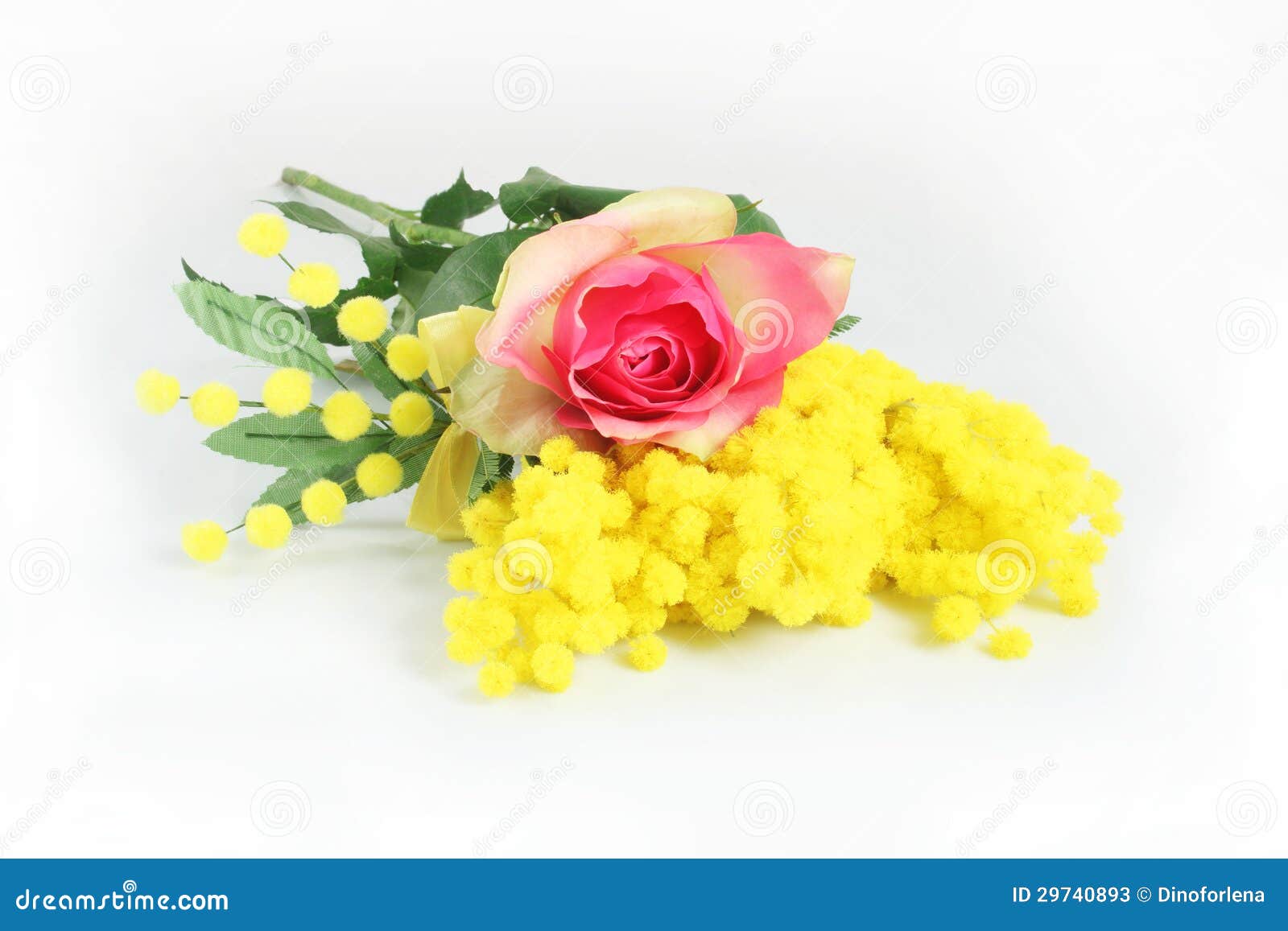 Rose et mimosa image stock. Image du mères, durée, rosée - 29740893