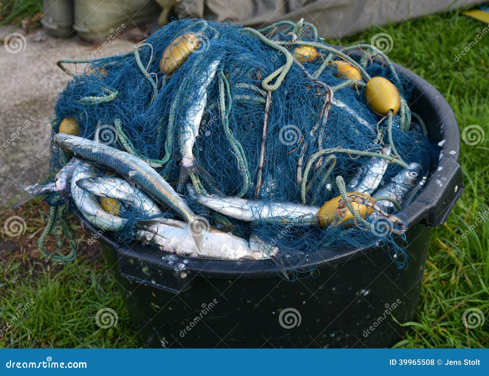 Un Secchio Con Le Reti Da Imbrocco E Un Fermo Delle Aringhe Fotografia ...