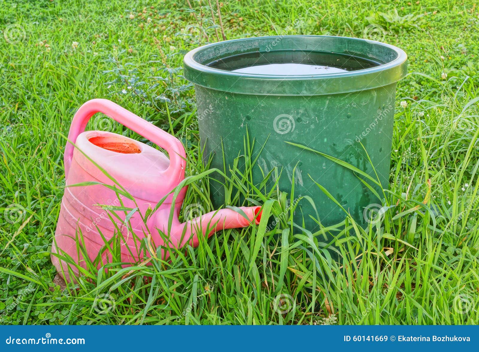 Un Secchio Di Acqua E Dell'annaffiatoio Sull'erba Immagine Stock ...