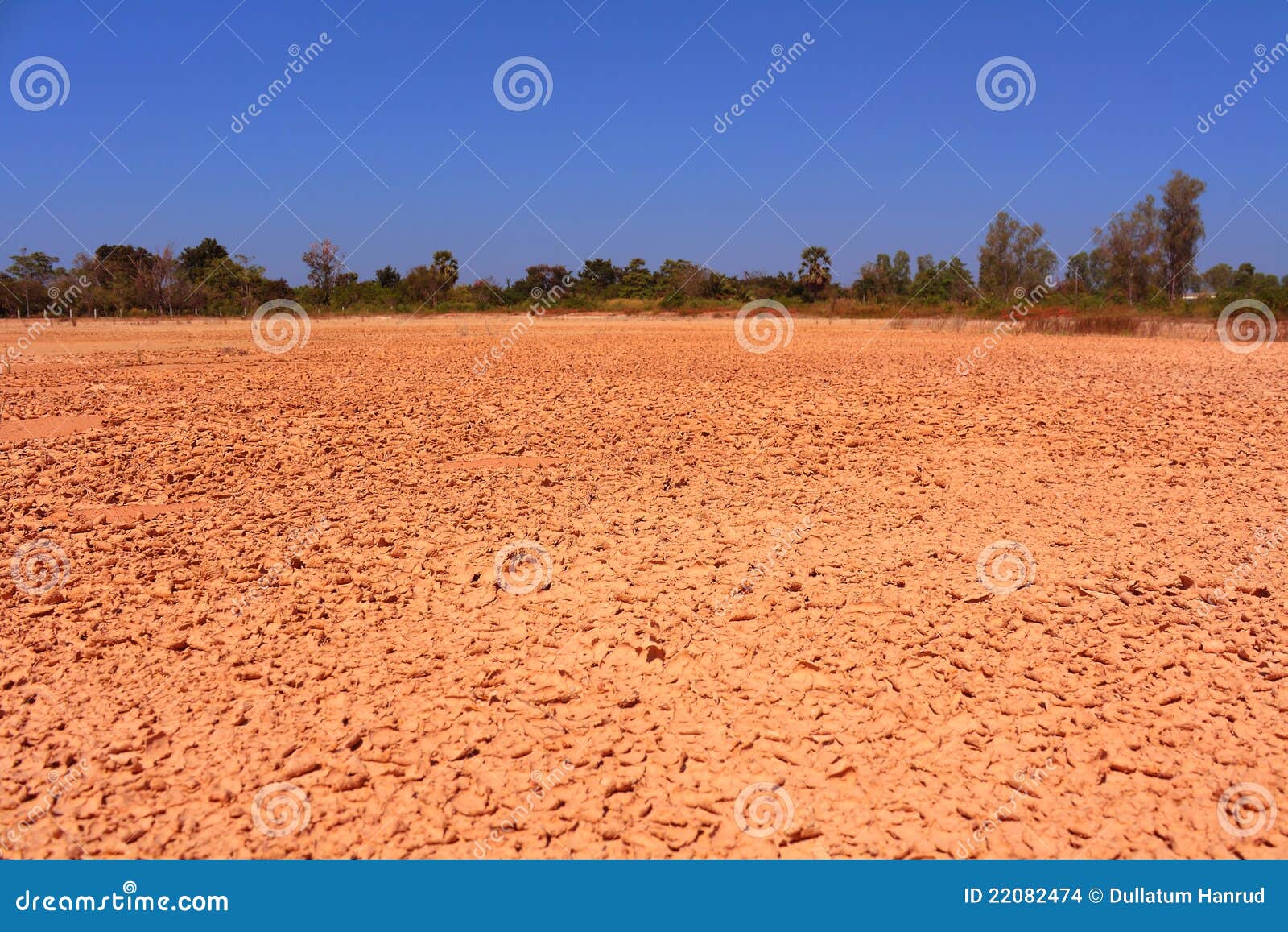 Un seco foto de archivo. Imagen de campo, fondo, seco - 22082474