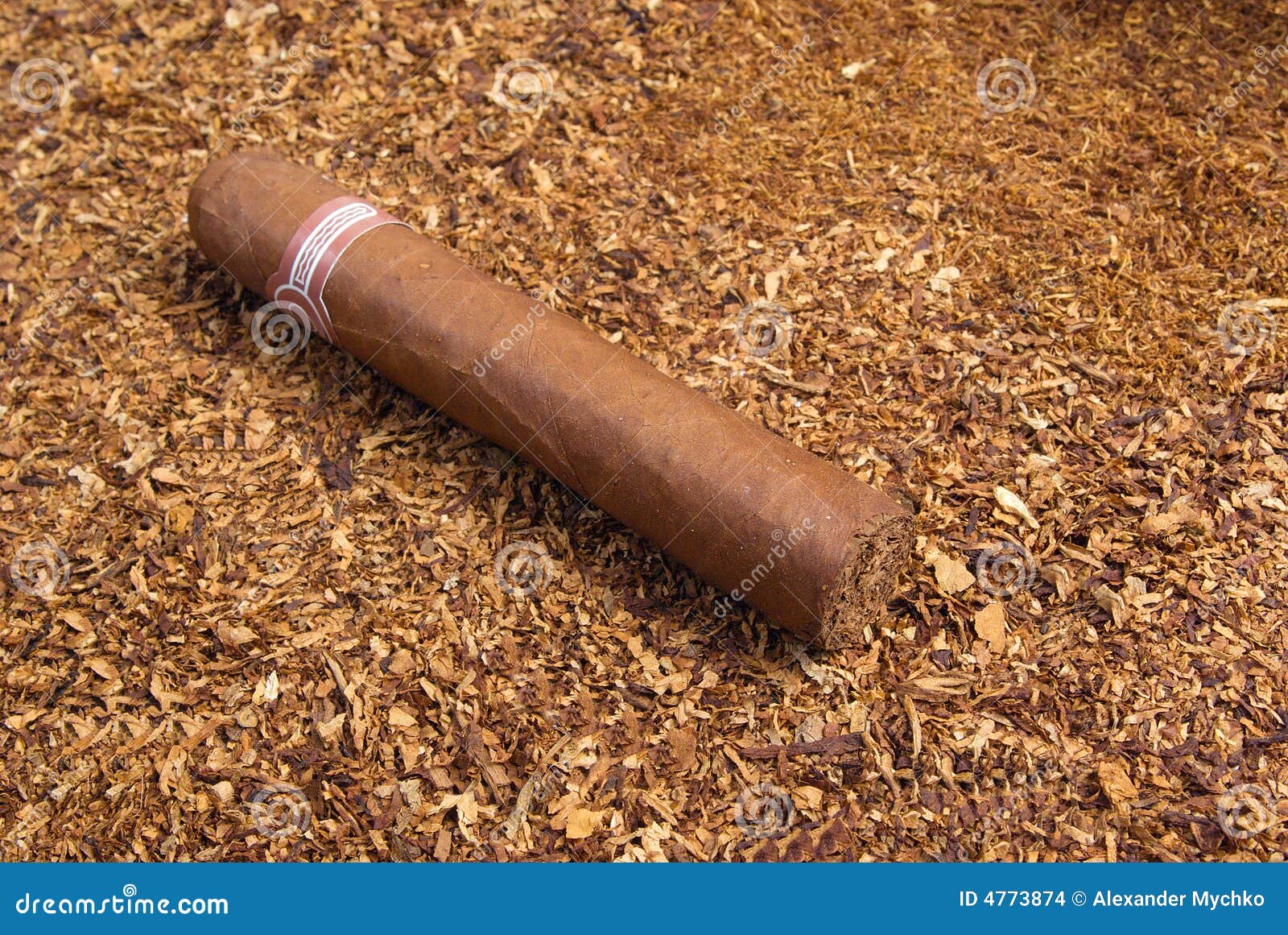 Un Sigaro Cubano, Disposit Del Tabacco Fotografia Stock - Immagine di ...