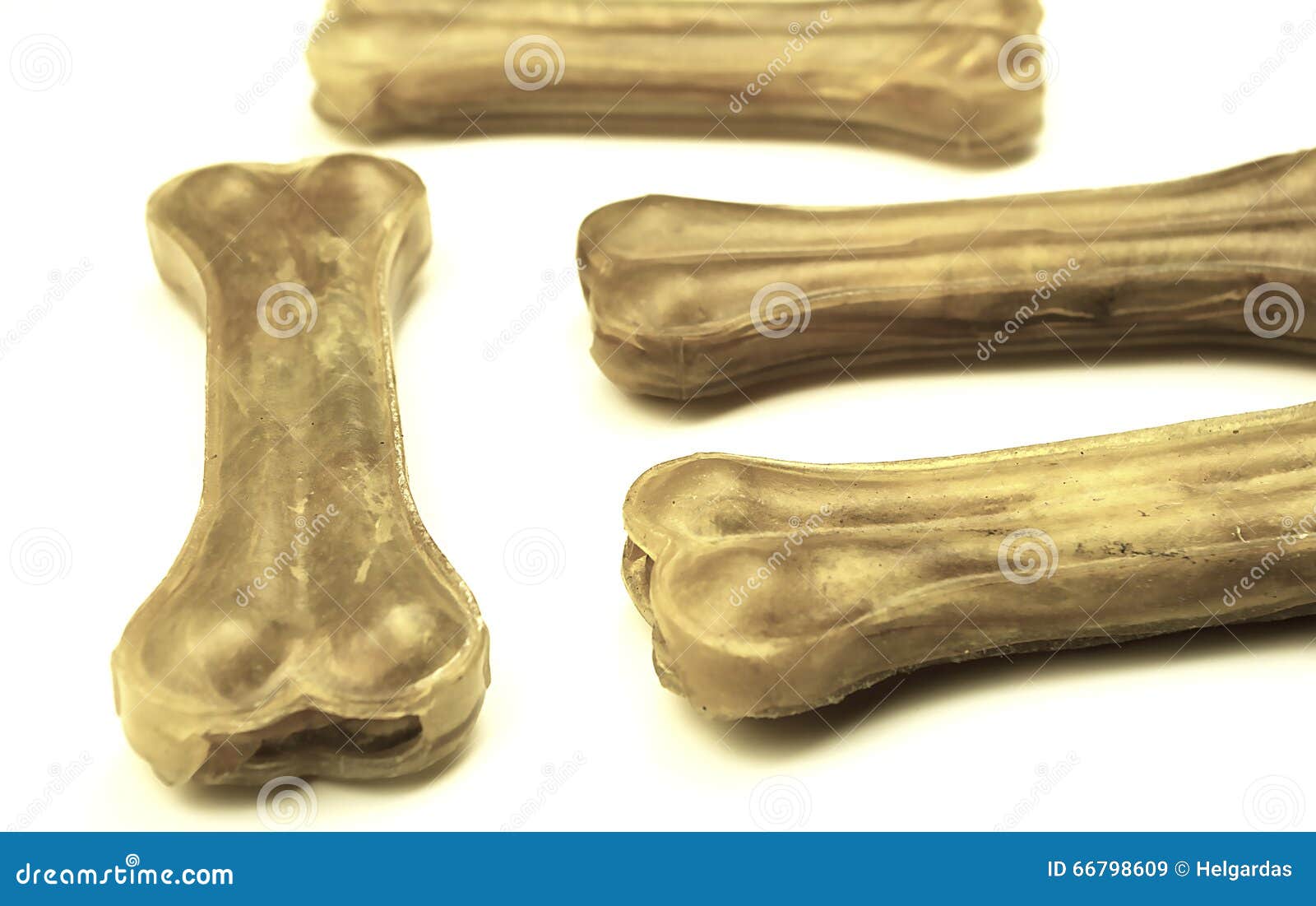 Un Sistema De Huesos De Perro Imagen de archivo - Imagen de comida ...