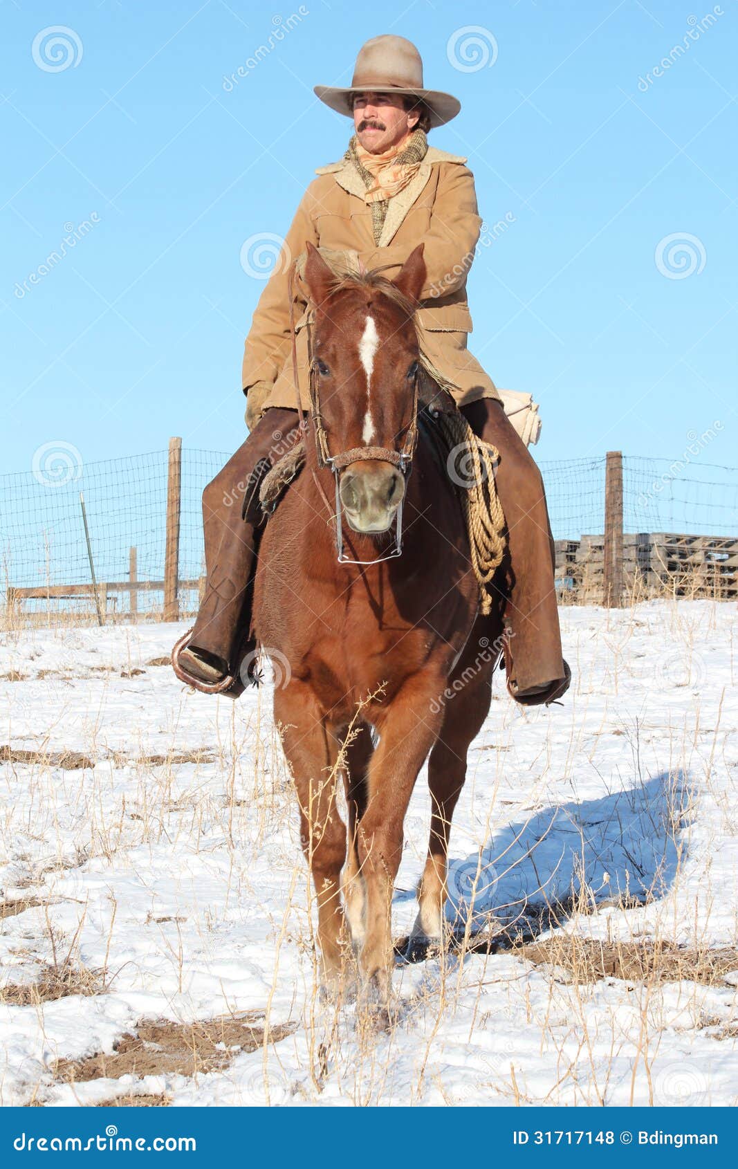 Un Vaquero Riding His Horse Foto de archivo - Imagen de muchacho, oeste ...