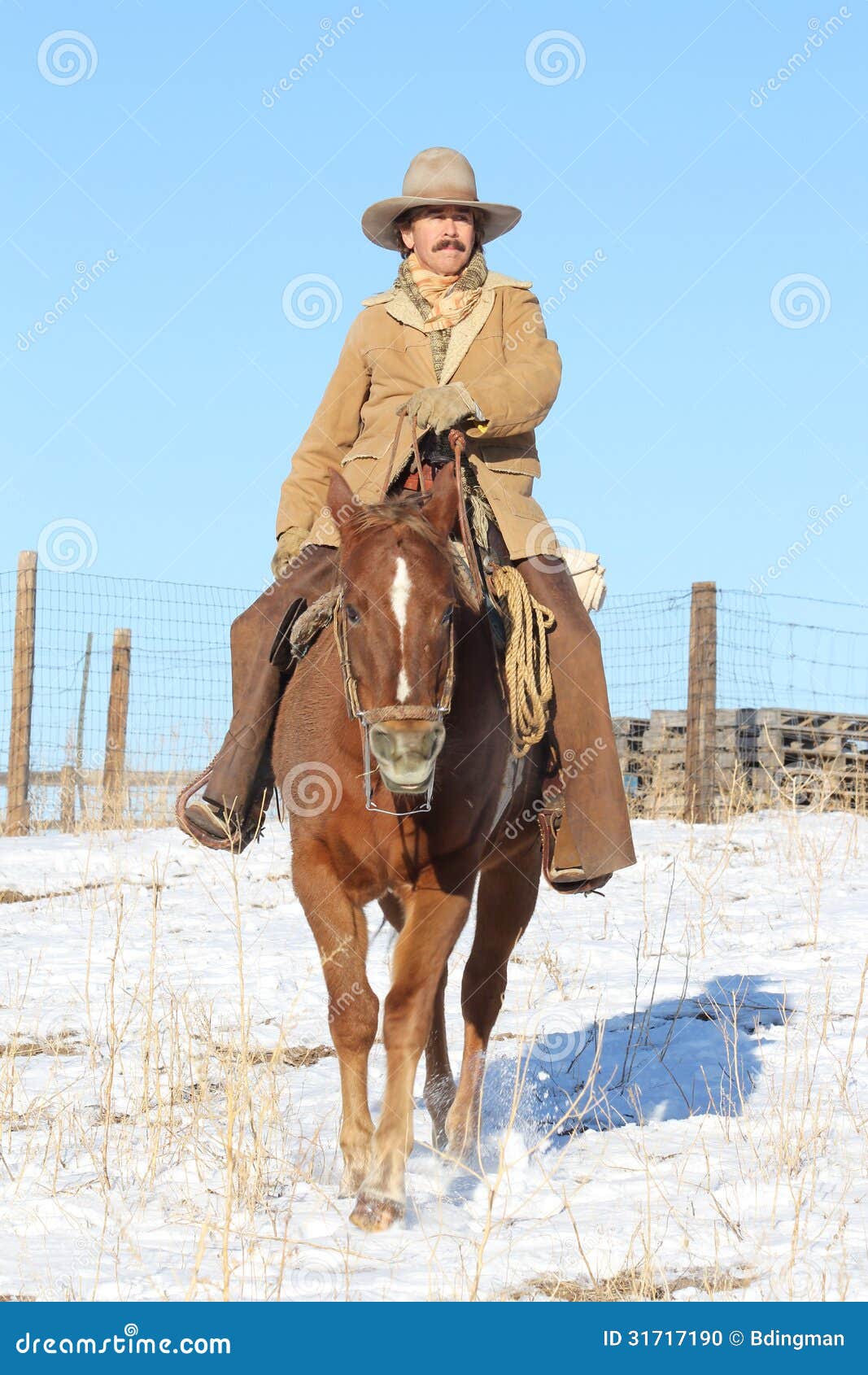 Un Vaquero Riding His Horse Foto de archivo - Imagen de caballo ...