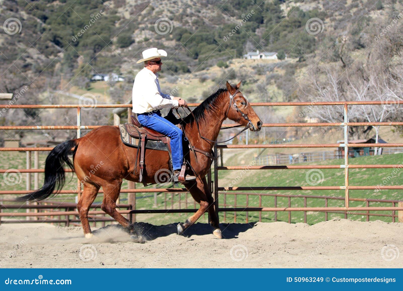 Un Vaquero Riding His Horse Imagen de archivo - Imagen de frenillo ...