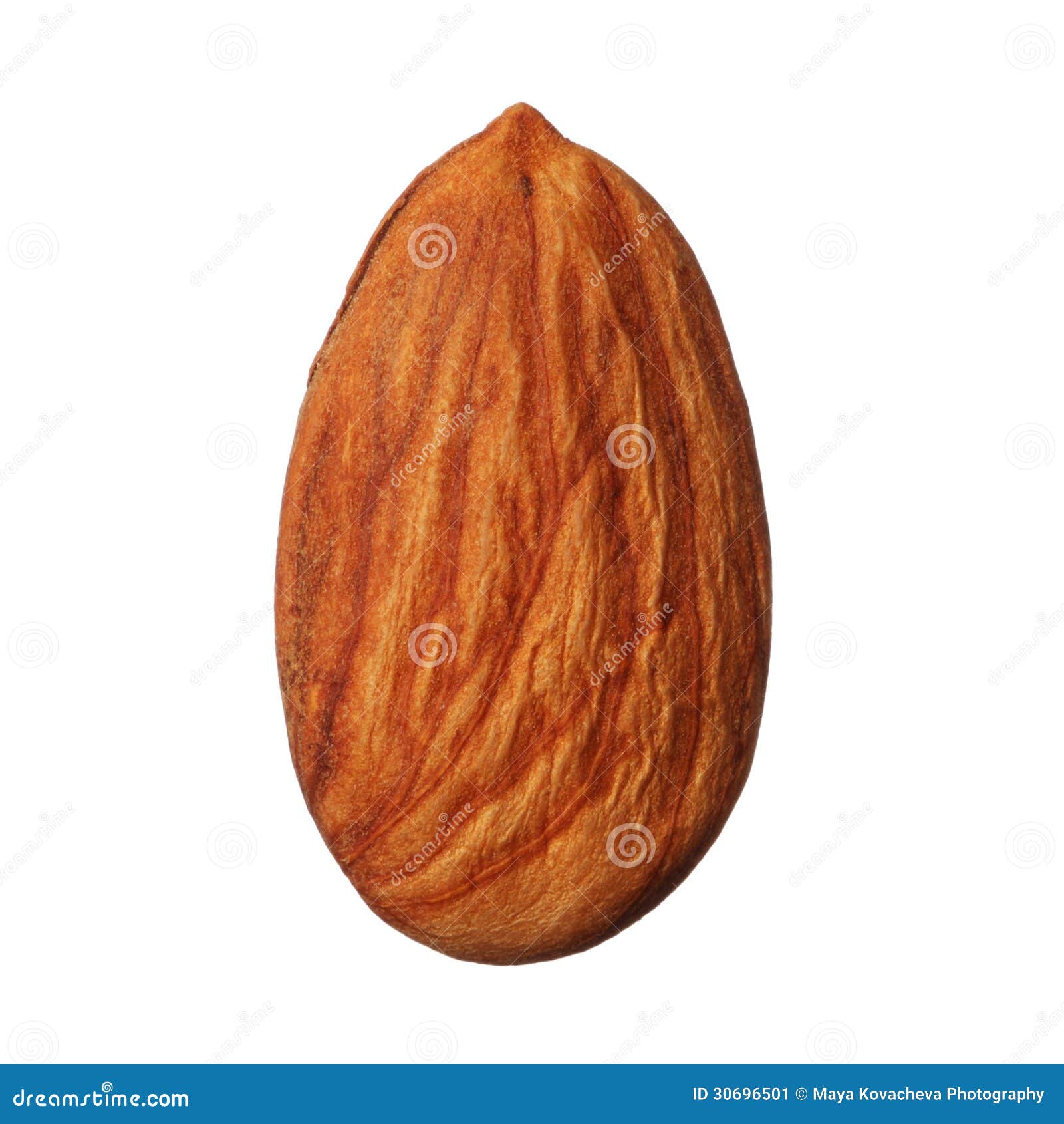 Una Almendra Aislada En El Fondo Blanco Imagen de archivo - Imagen de ...